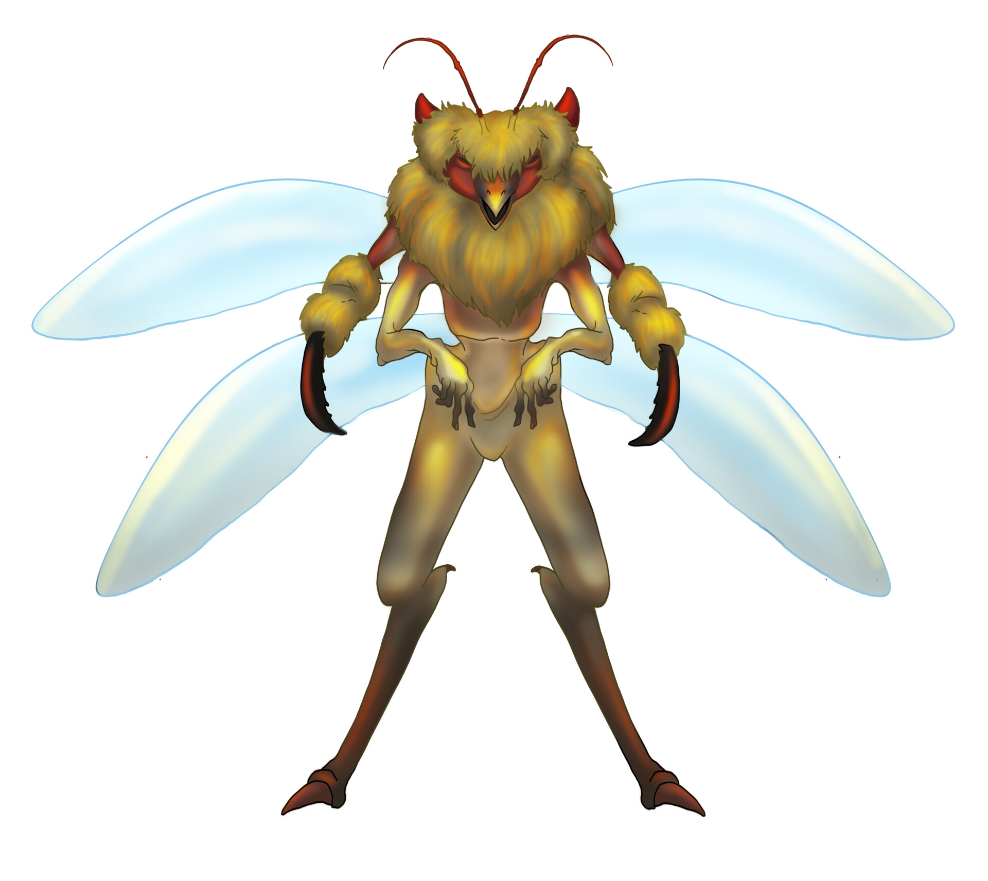 Jaclyn Harris - Bee Church