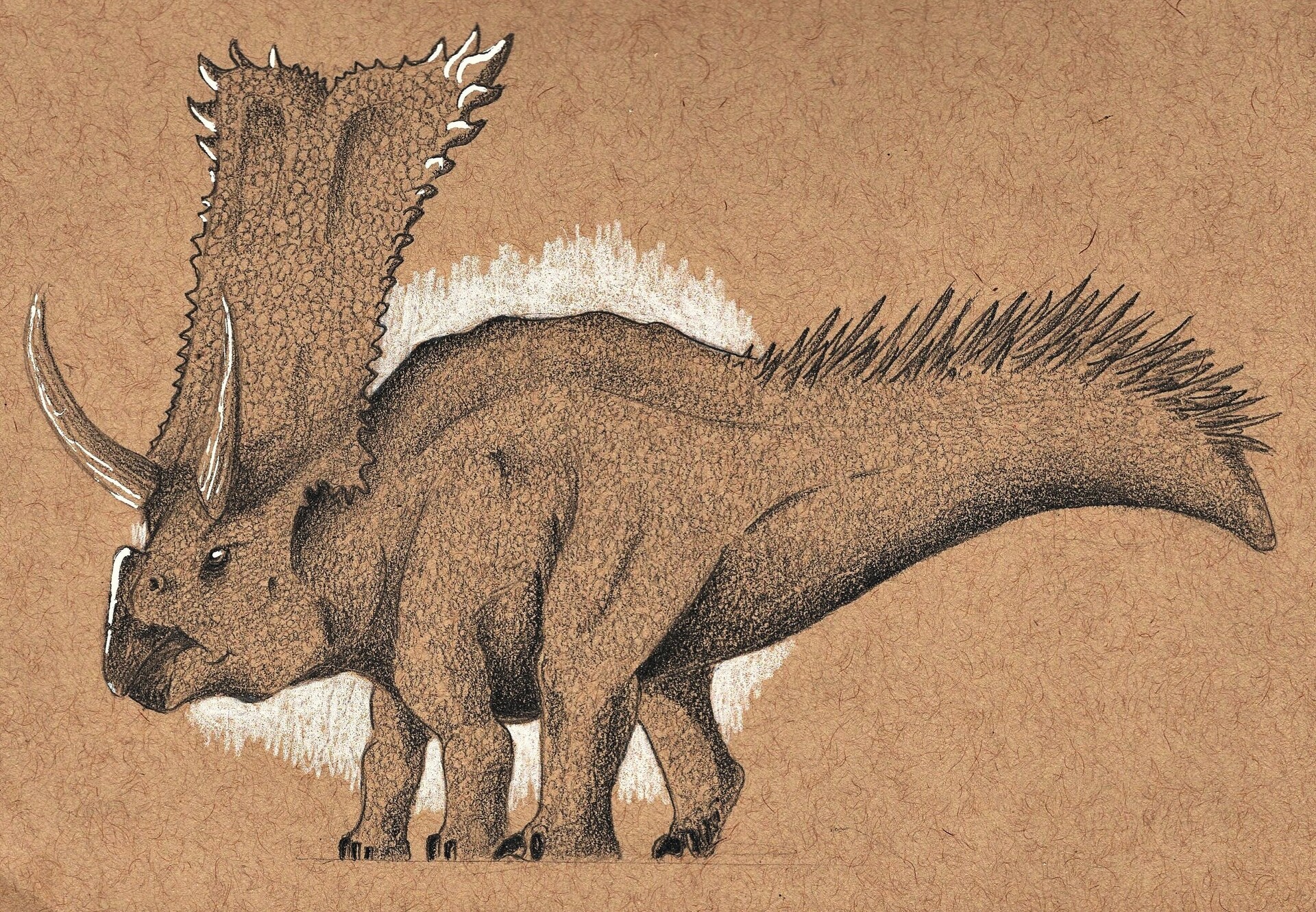 ArtStation - Chasmosaurine