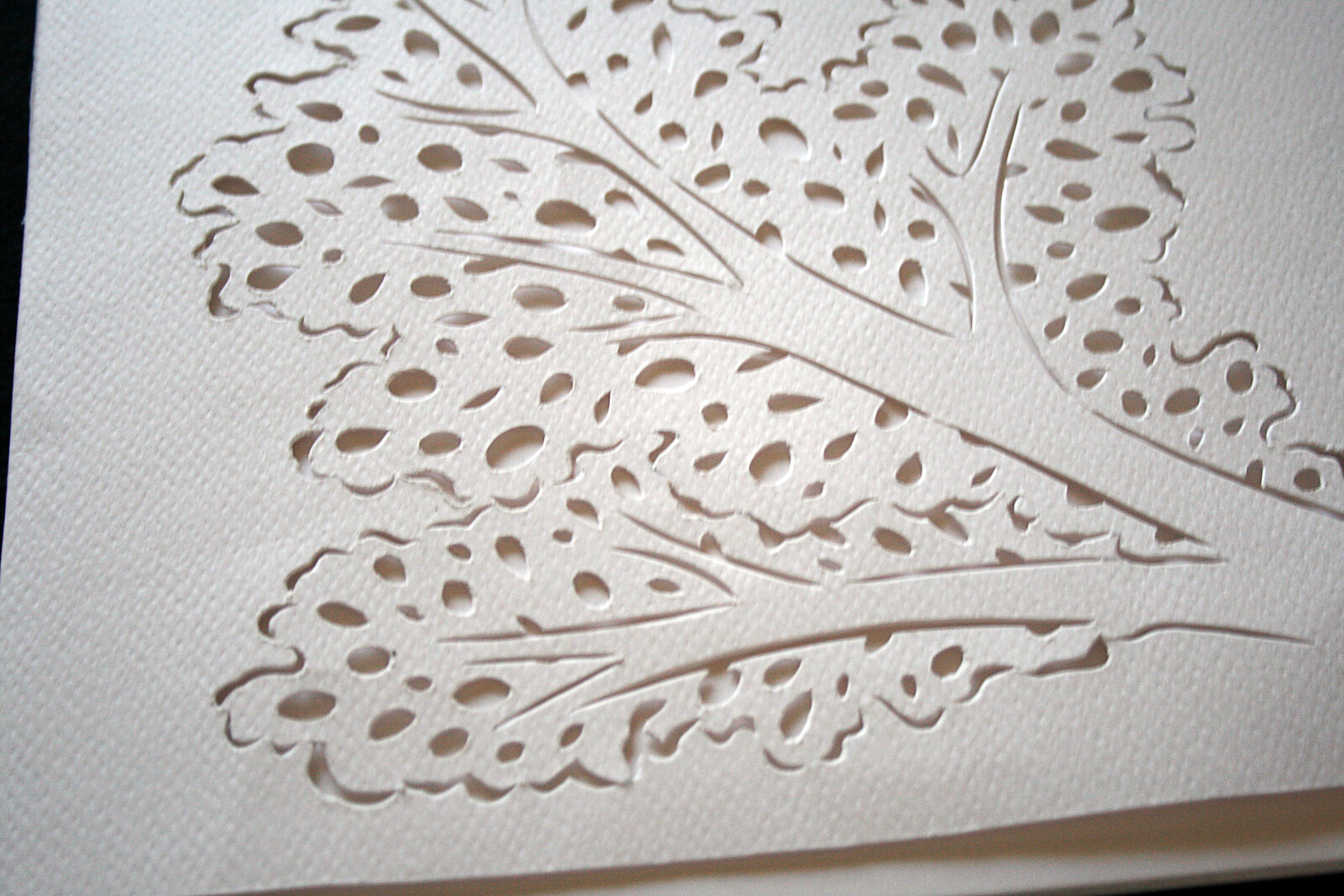 Sara Martinelli - Abissi ("Abyss") - Xylography project