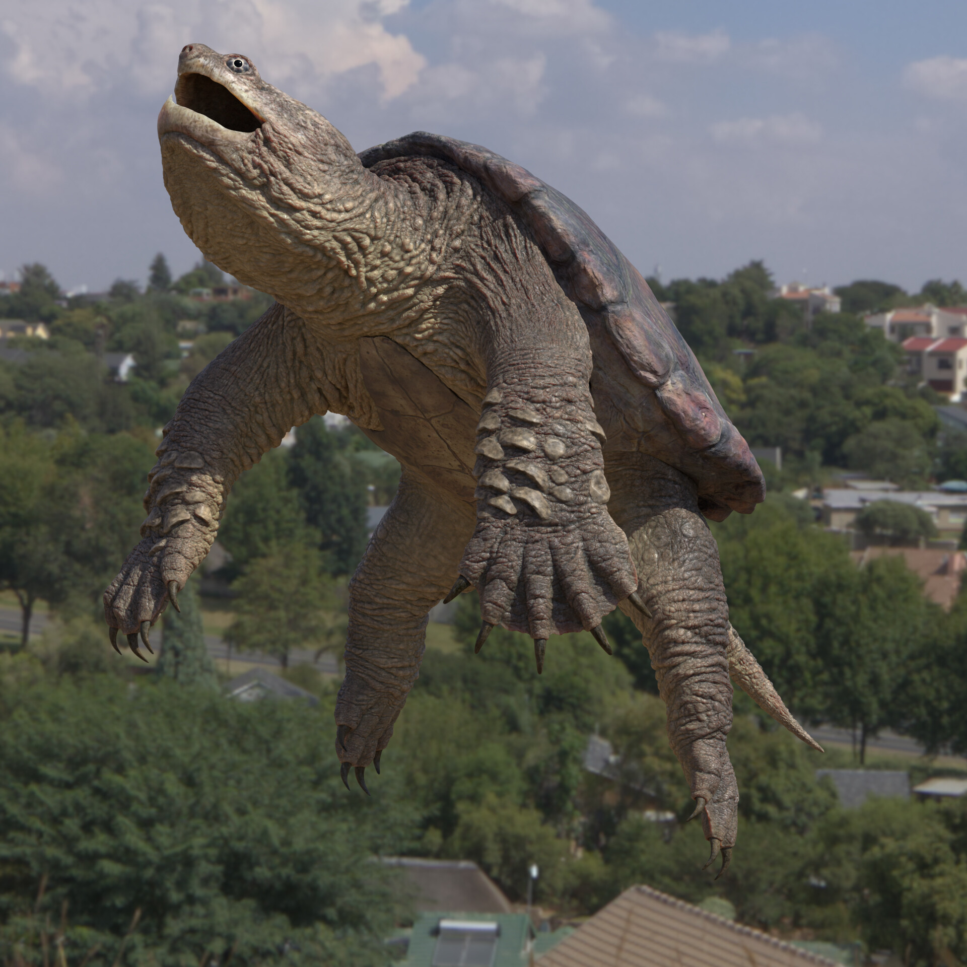 Riley Nelson - Snapping Turtle