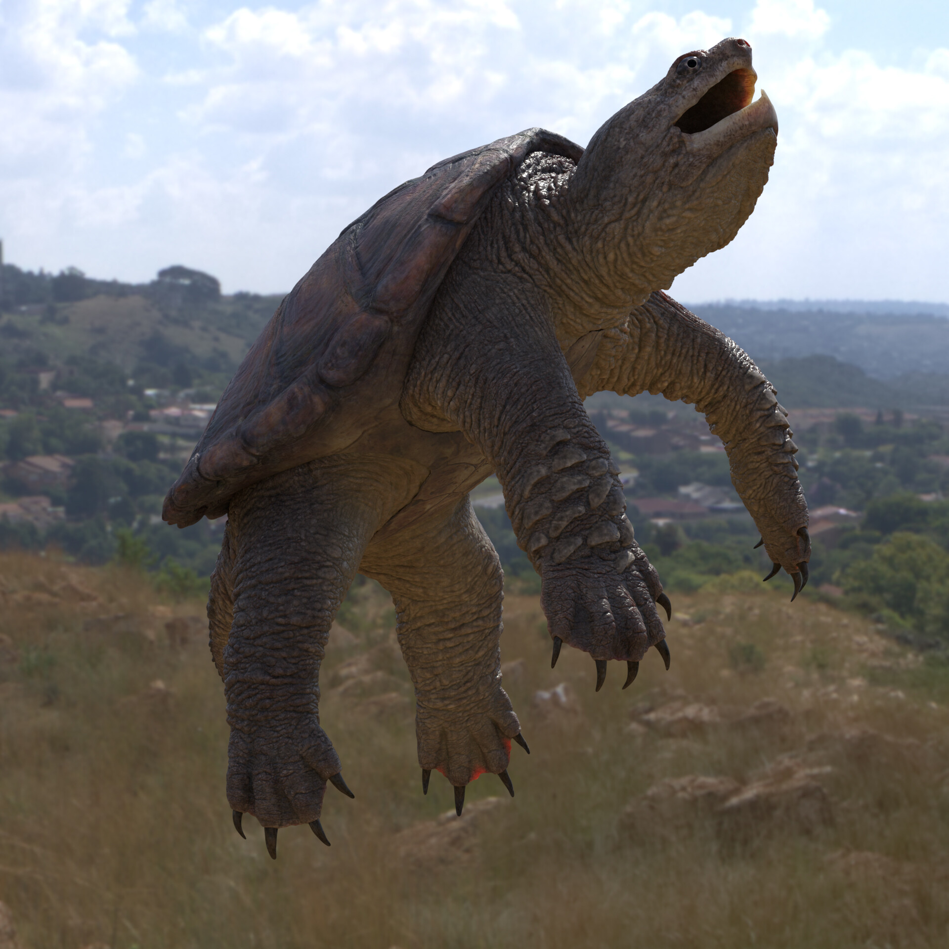 Riley Nelson - Snapping Turtle