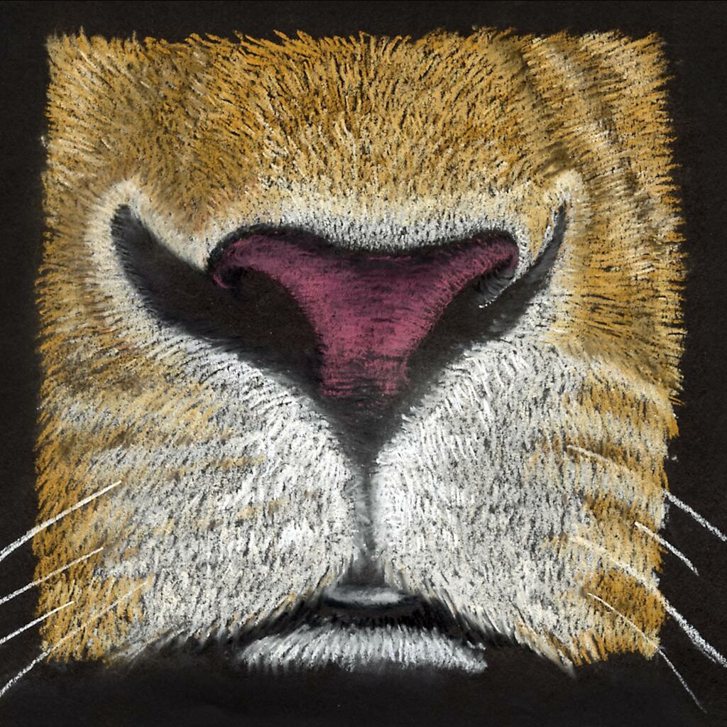 ArtStation - DIY Lion - nose