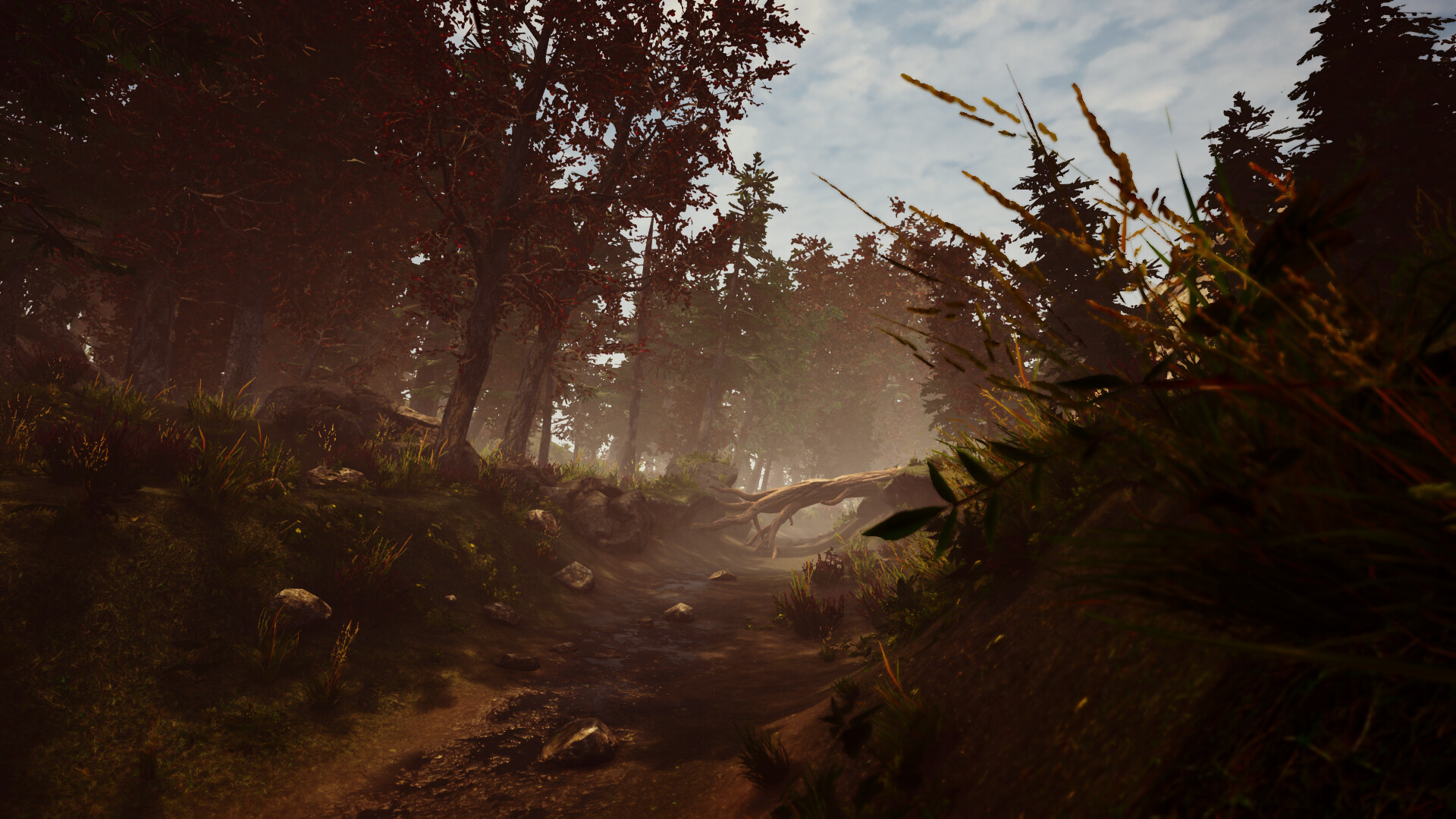 ArtStation - Cursed One | Fantasy Forest