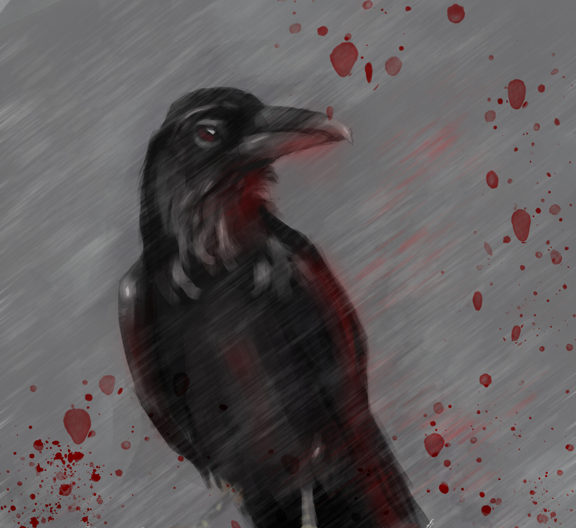 ArtStation - Raven Study