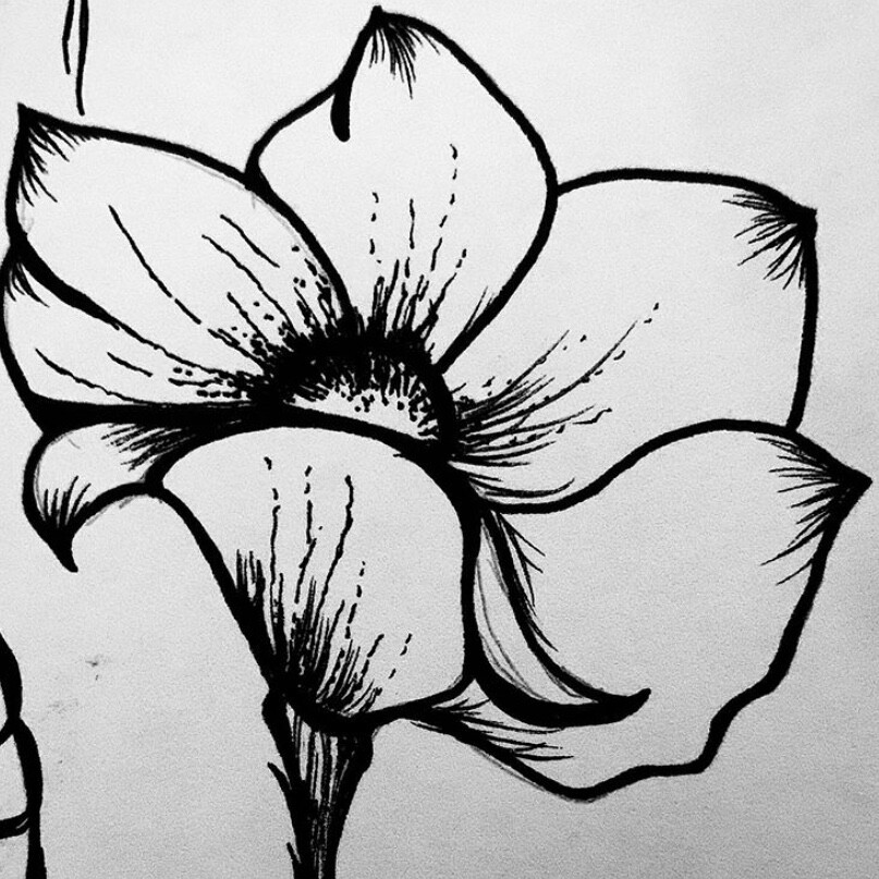 ArtStation - Flower head