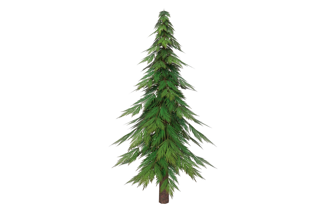 emerald annguyen - Stylized Pine Tree (with Maya and Substance Designer)