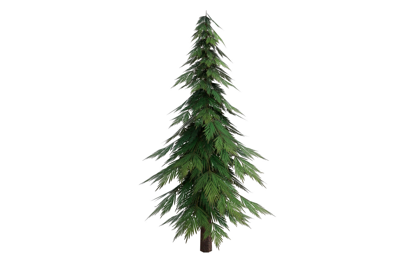 emerald annguyen - Stylized Pine Tree (with Maya and Substance Designer)