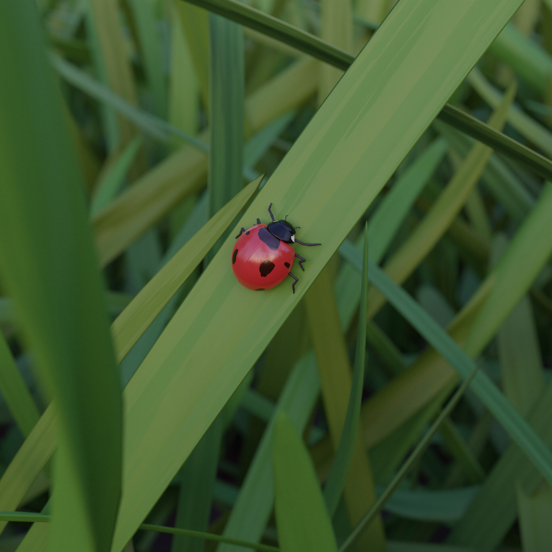 ArtStation - Lady bug