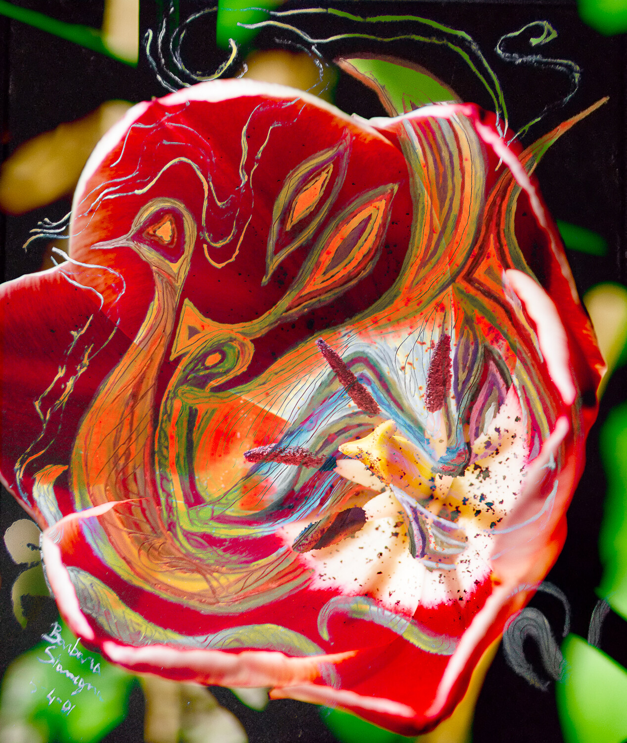 BBS Art - Photography and Painting Fusion Art