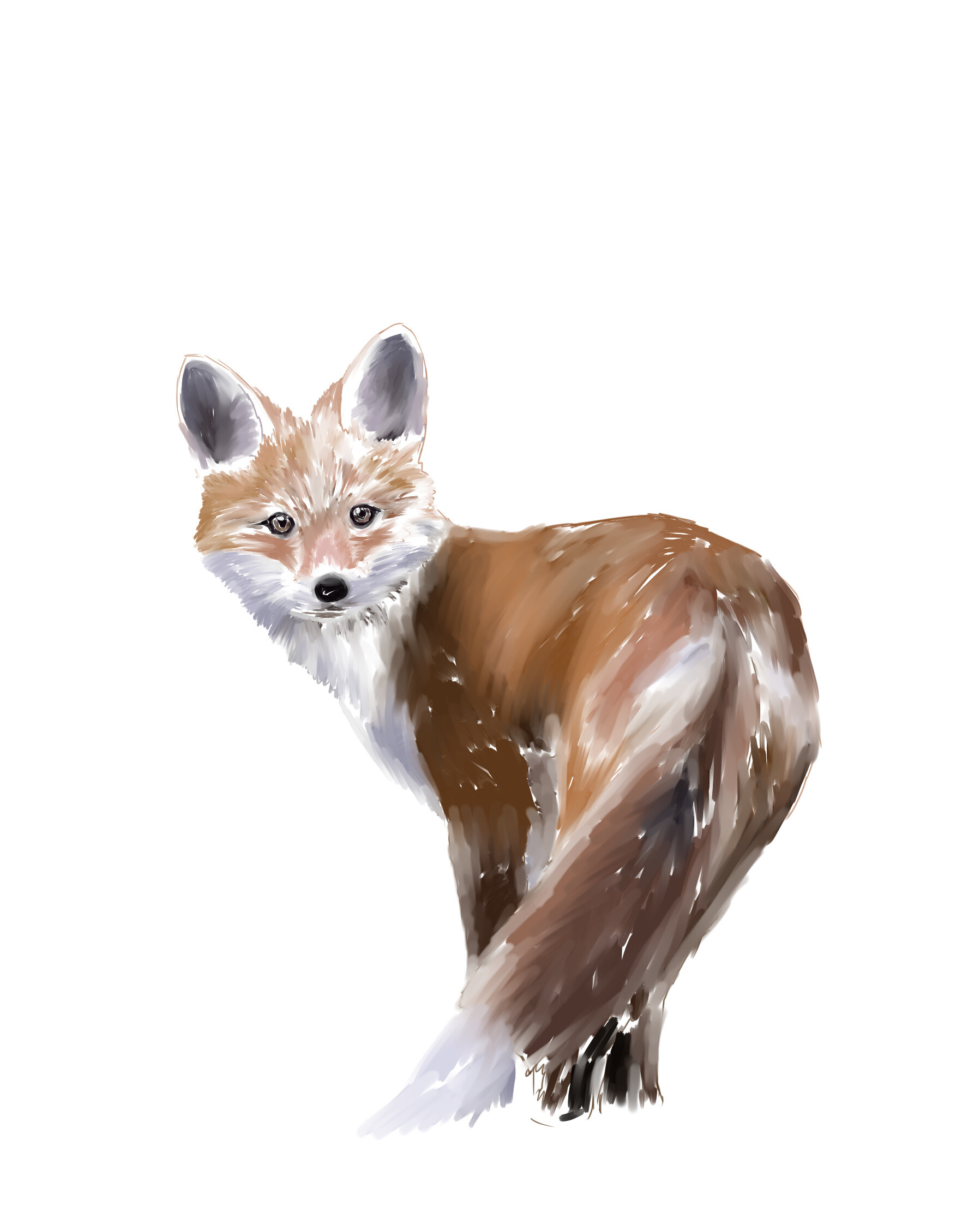 Steve Campbell - WIP