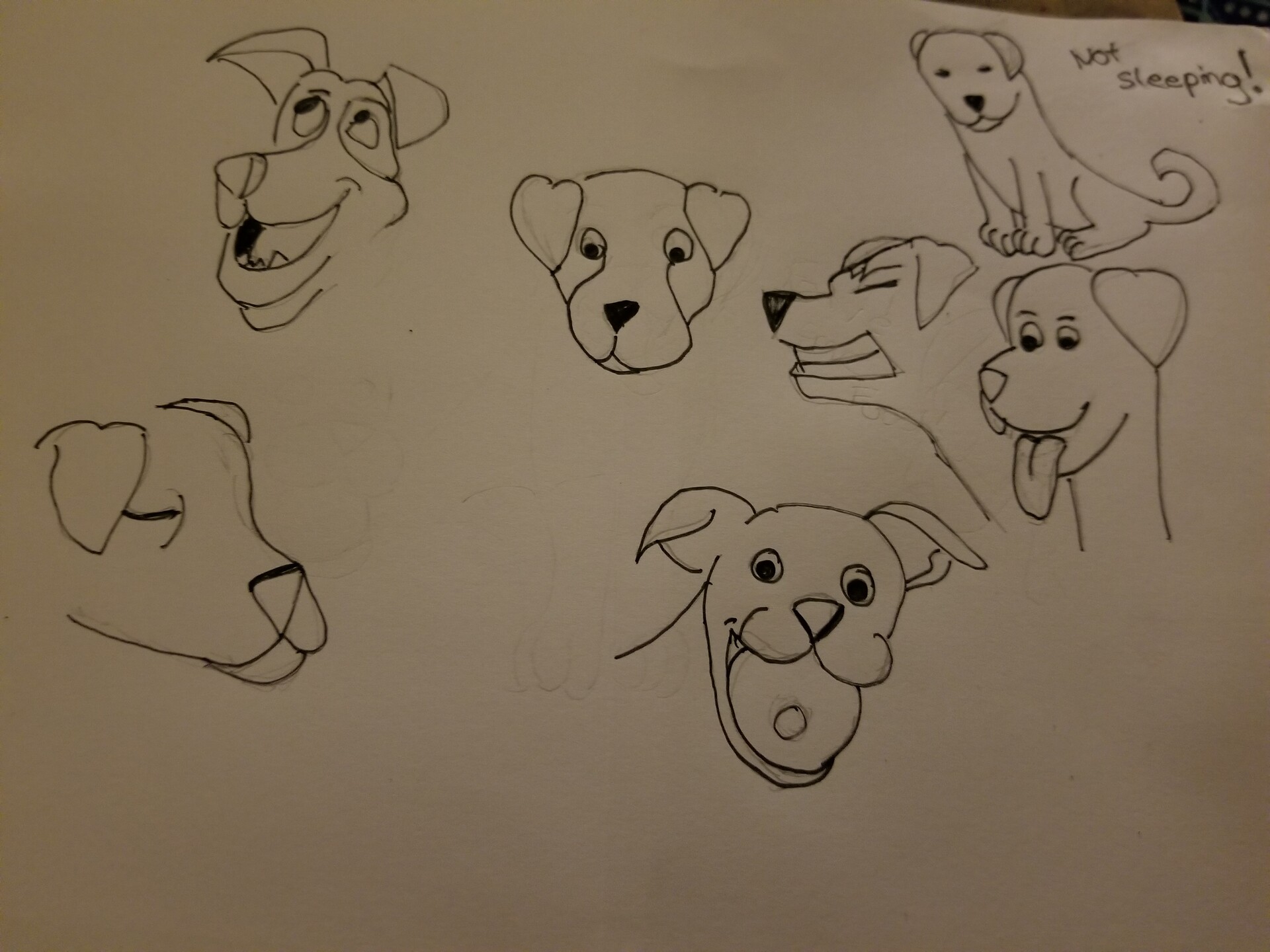 ArtStation - Cartoon dog concept