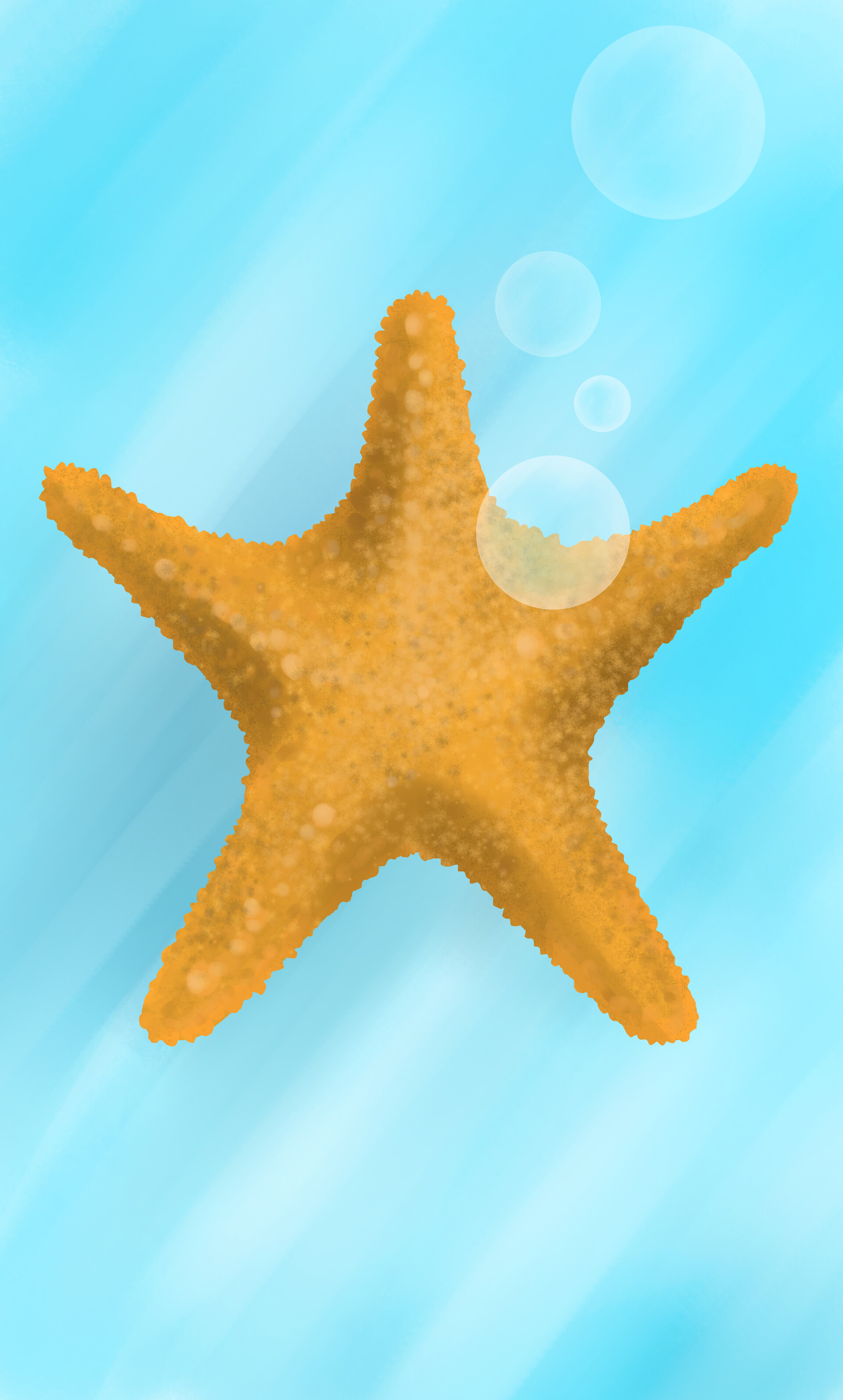 Nik Petrovic - Matching Madness - Memory Game