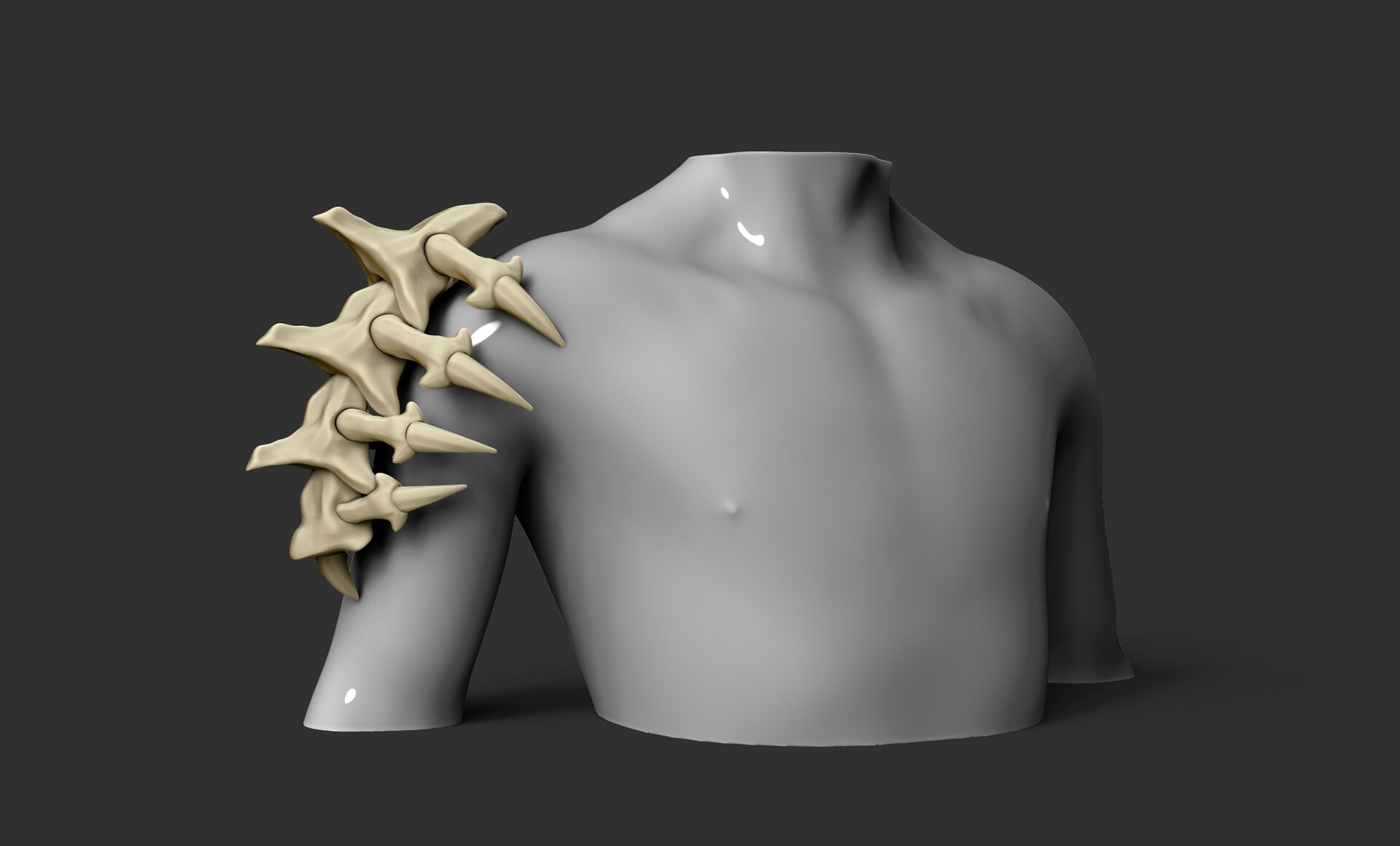 ArtStation - Shoulder spine _props_3d print