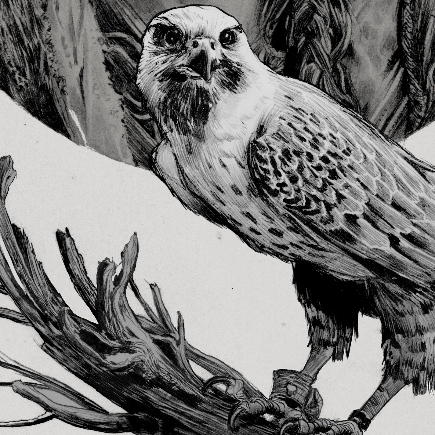 Geirrod Van Dyke - Inktober day 20 (Nakoruru/ Samurai Shodown)