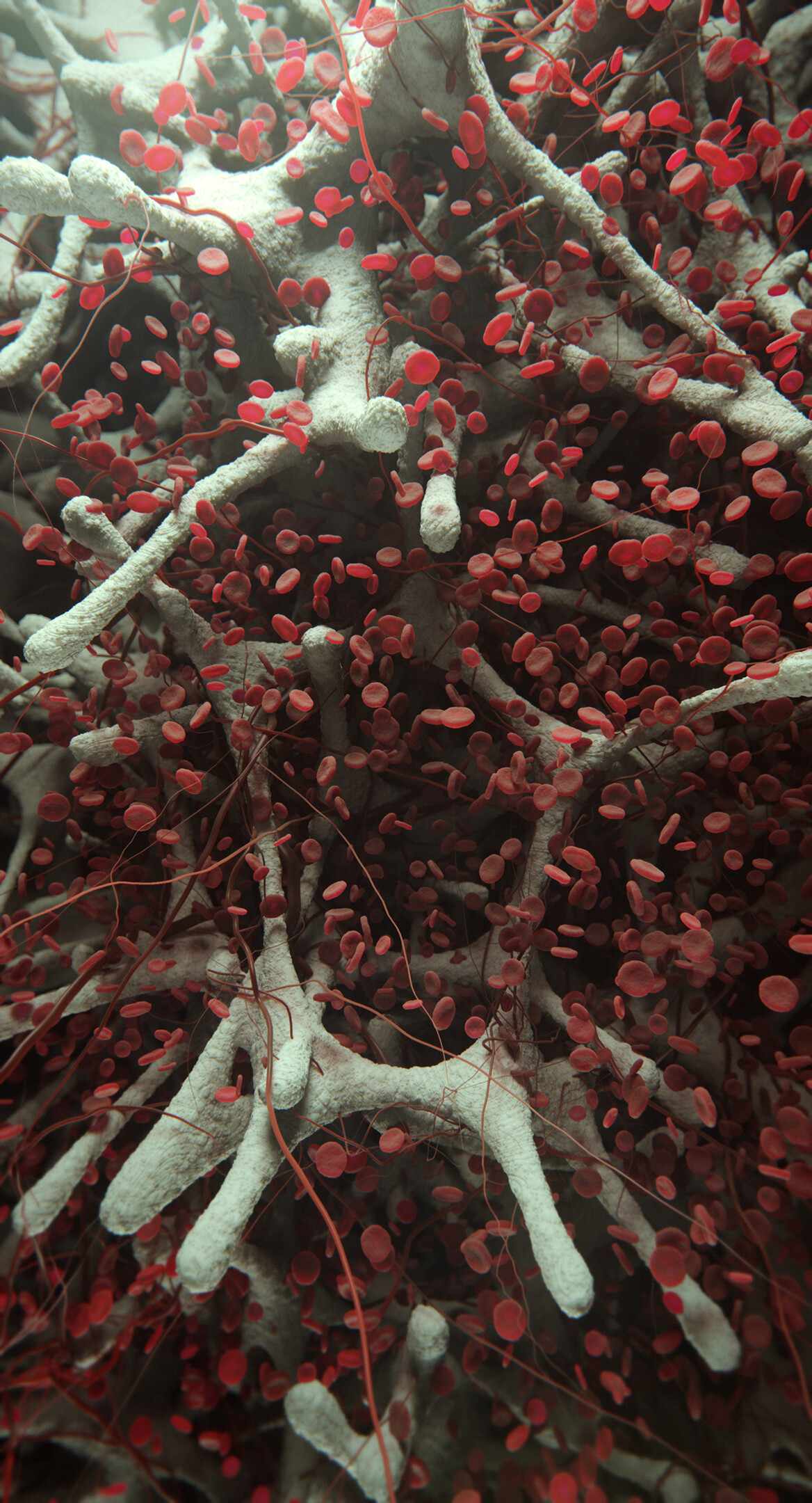 ArtStation - Bone Marrow