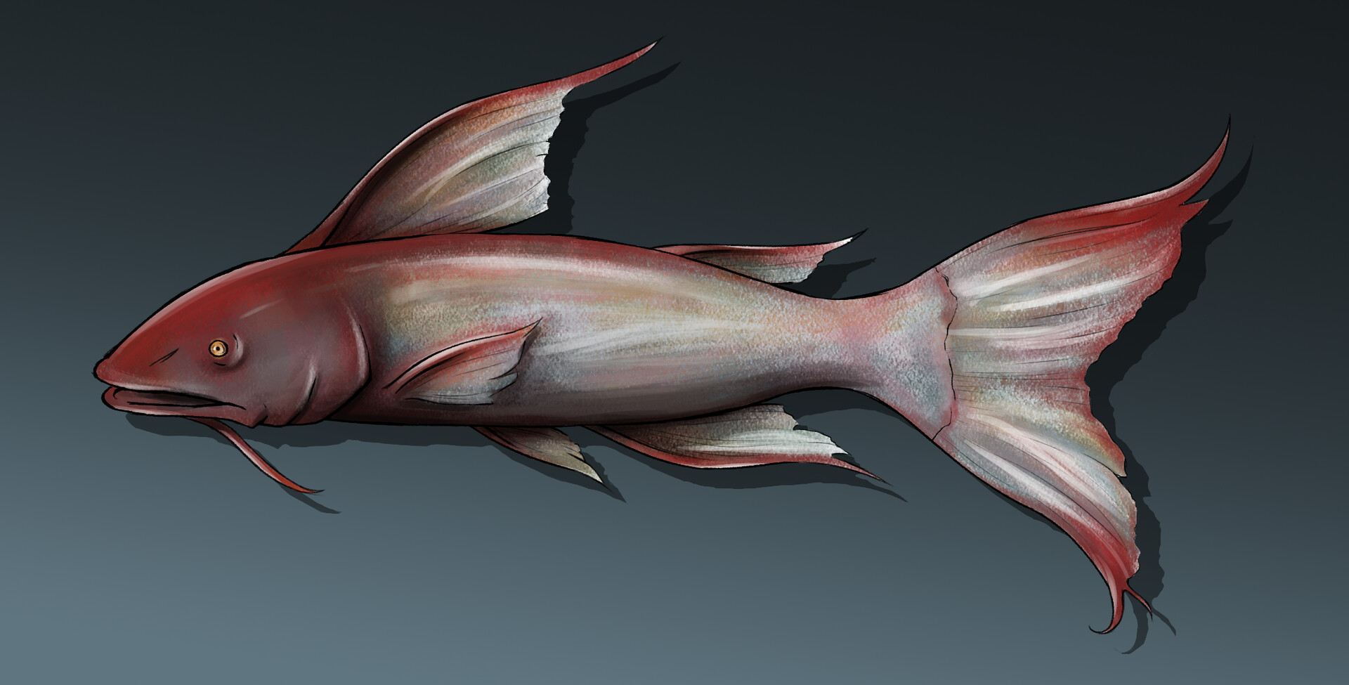 ArtStation - Imaginary Catfish