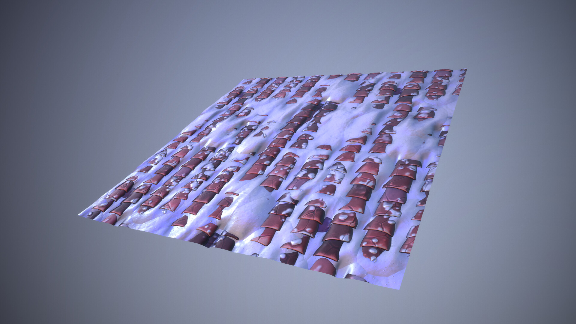 Benjamin Mathieu - Snowy roof