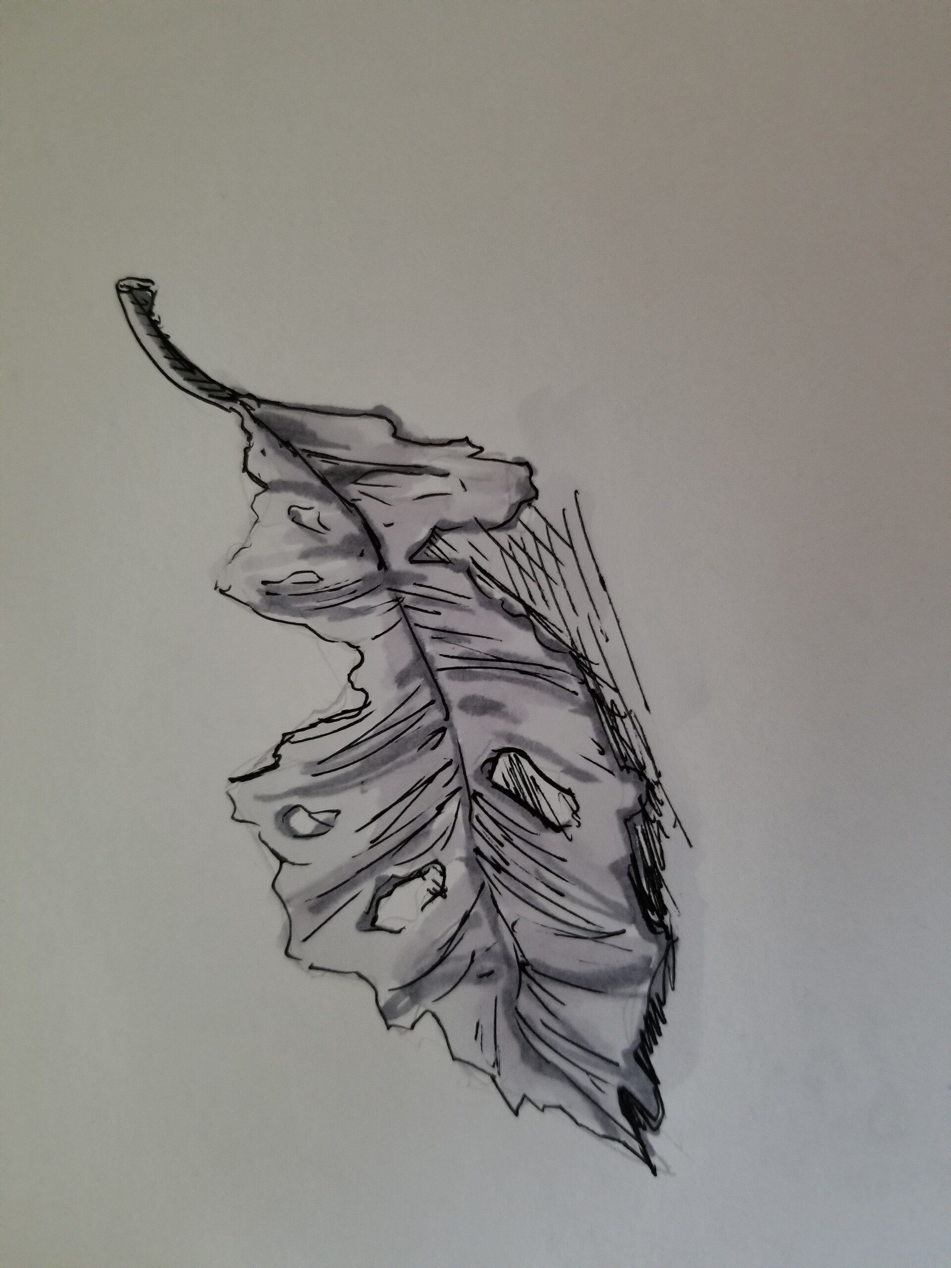 ArtStation - frail inktober