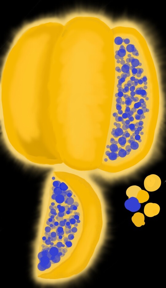 Alice Harvey - Fruit from outer space