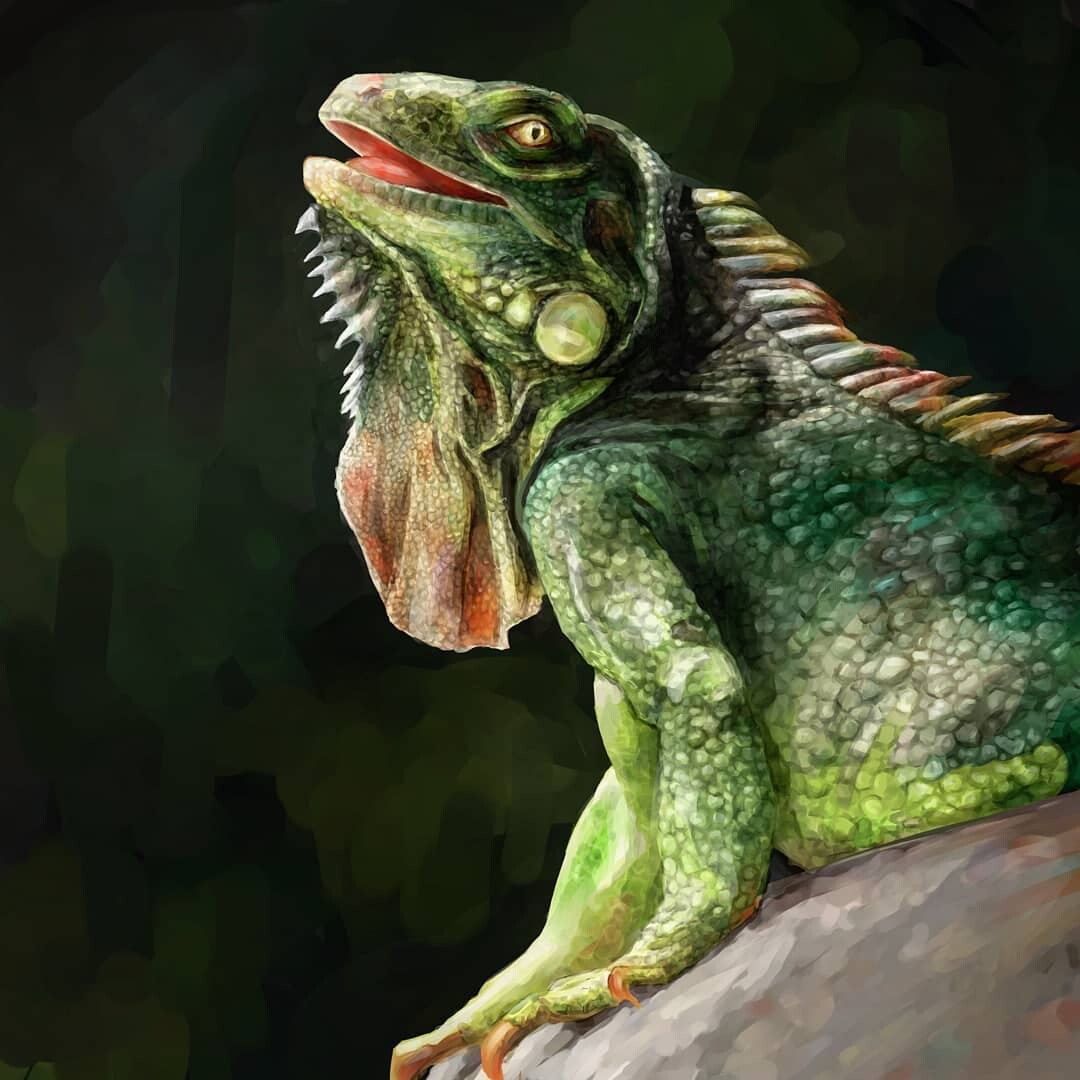 ArtStation - Reptile study