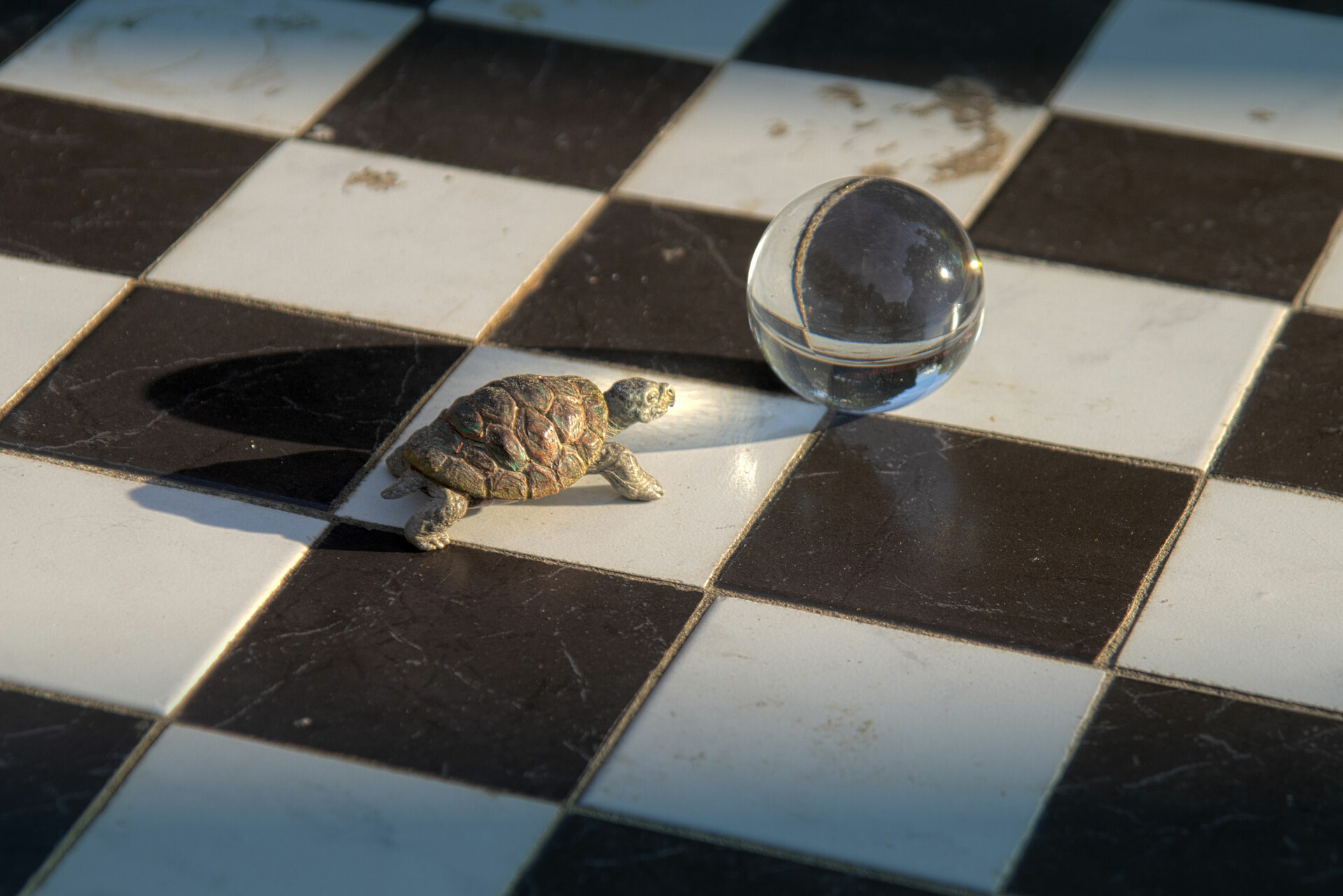 ArtStation - Cosmic Turtle Adventures