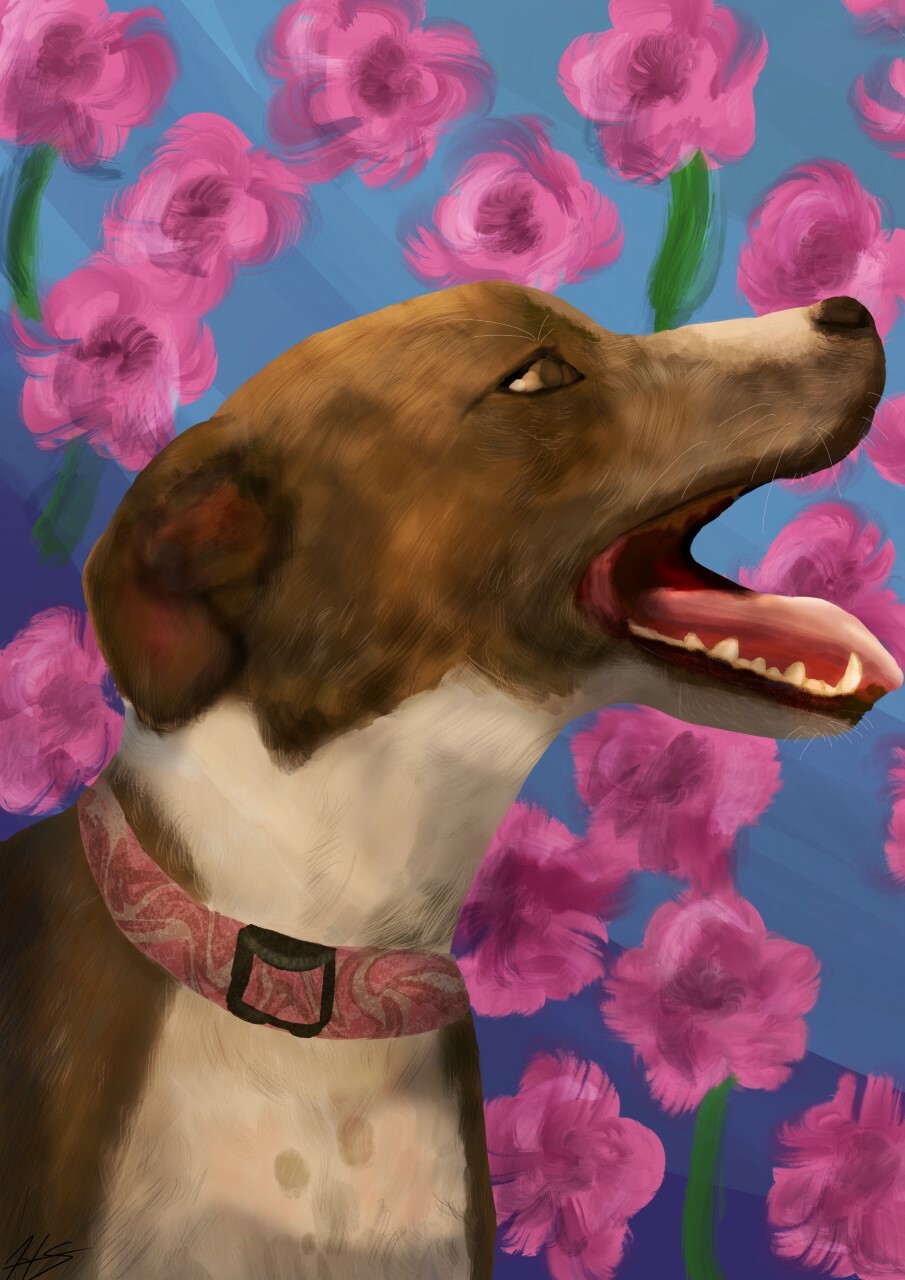 ArtStation - Pitbull