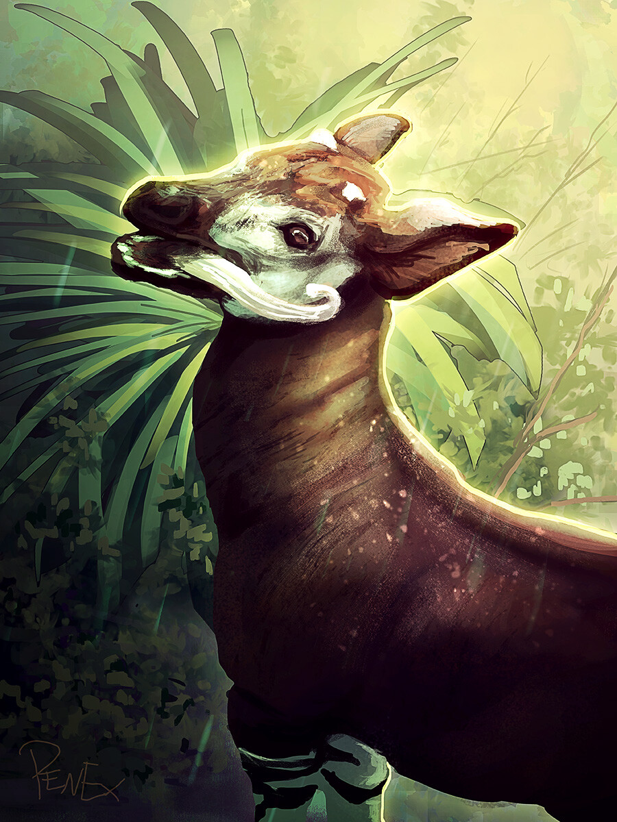ArtStation - It's an Okapi