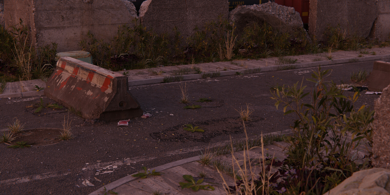 Jared Timme - Post-Apocalyptic Road