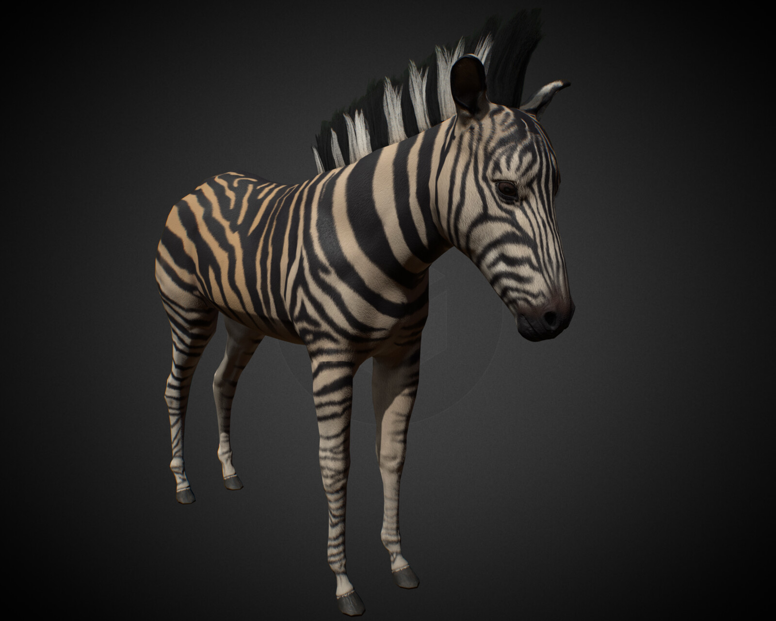 Oscar Perez - Zebra Game Ready
