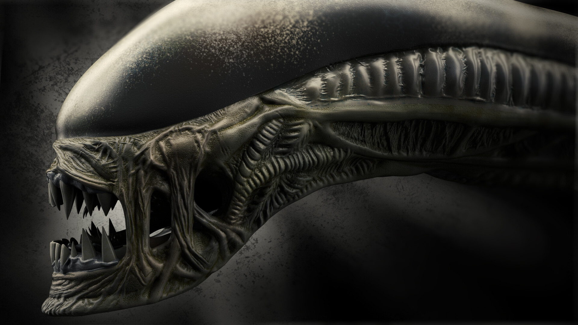 ArtStation - Xenomorph head