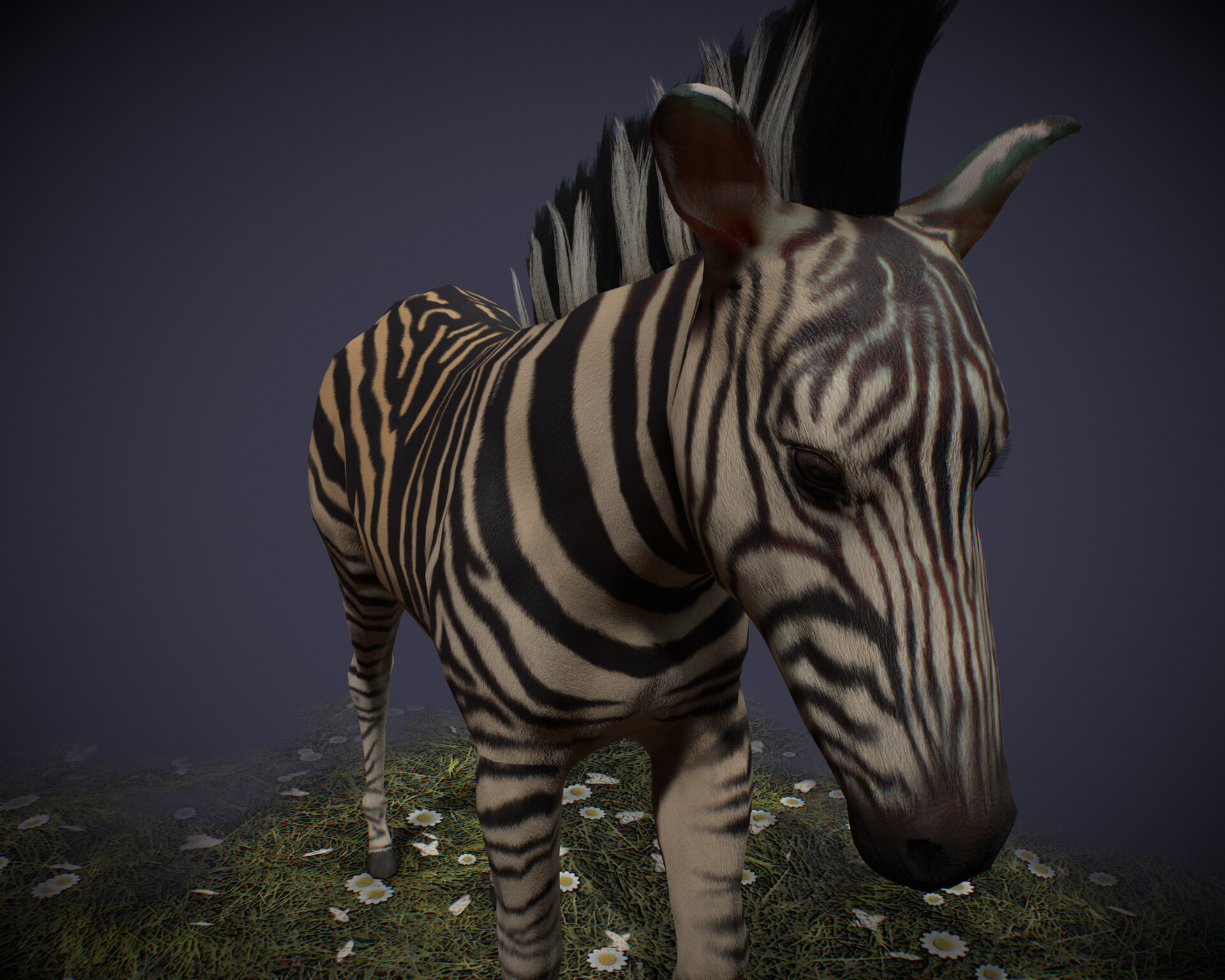 Oscar Perez - Zebra Game Ready