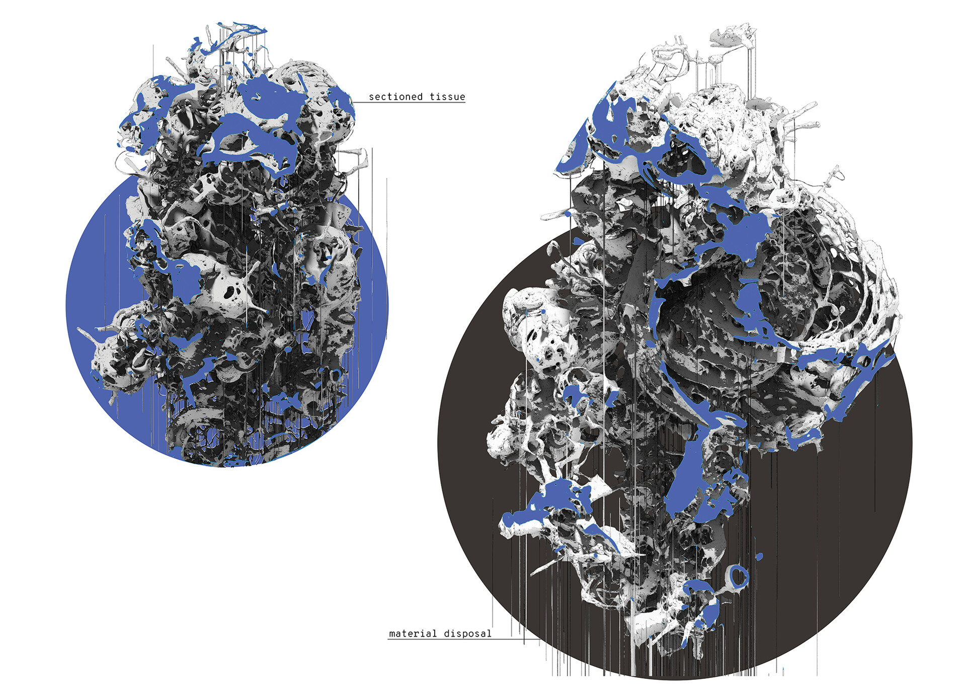 Konstantina Angeletou - the Cronen-Hive