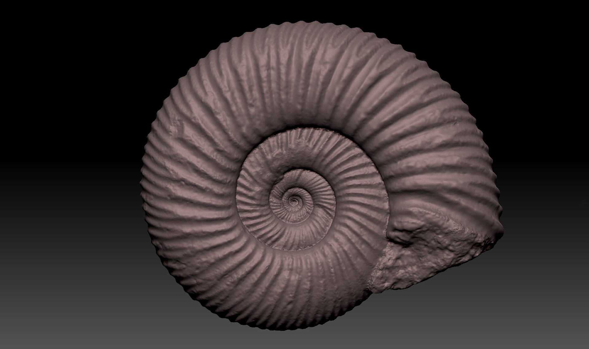 ArtStation - Ammonite