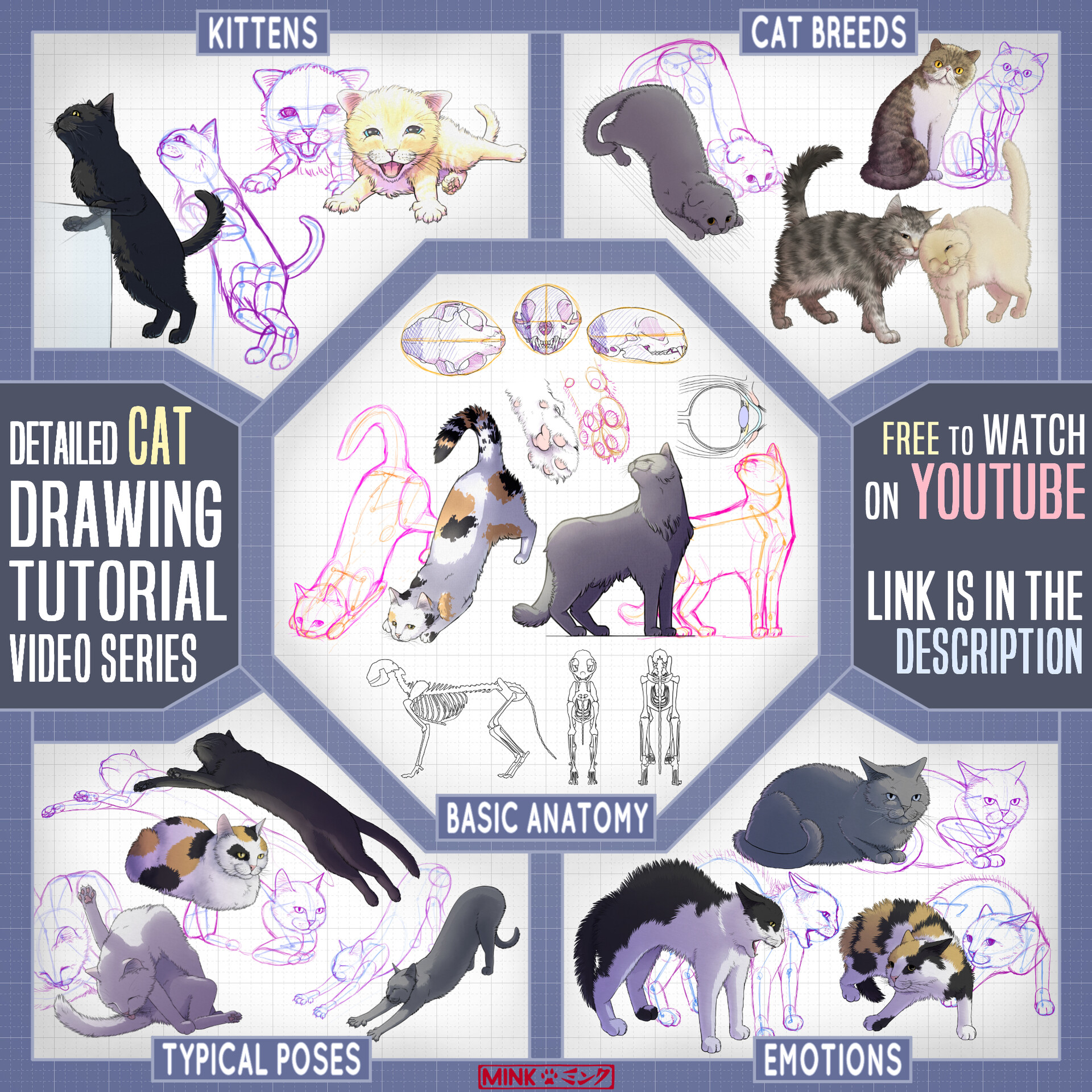 ArtStation - Cat Drawing Tutorial Series