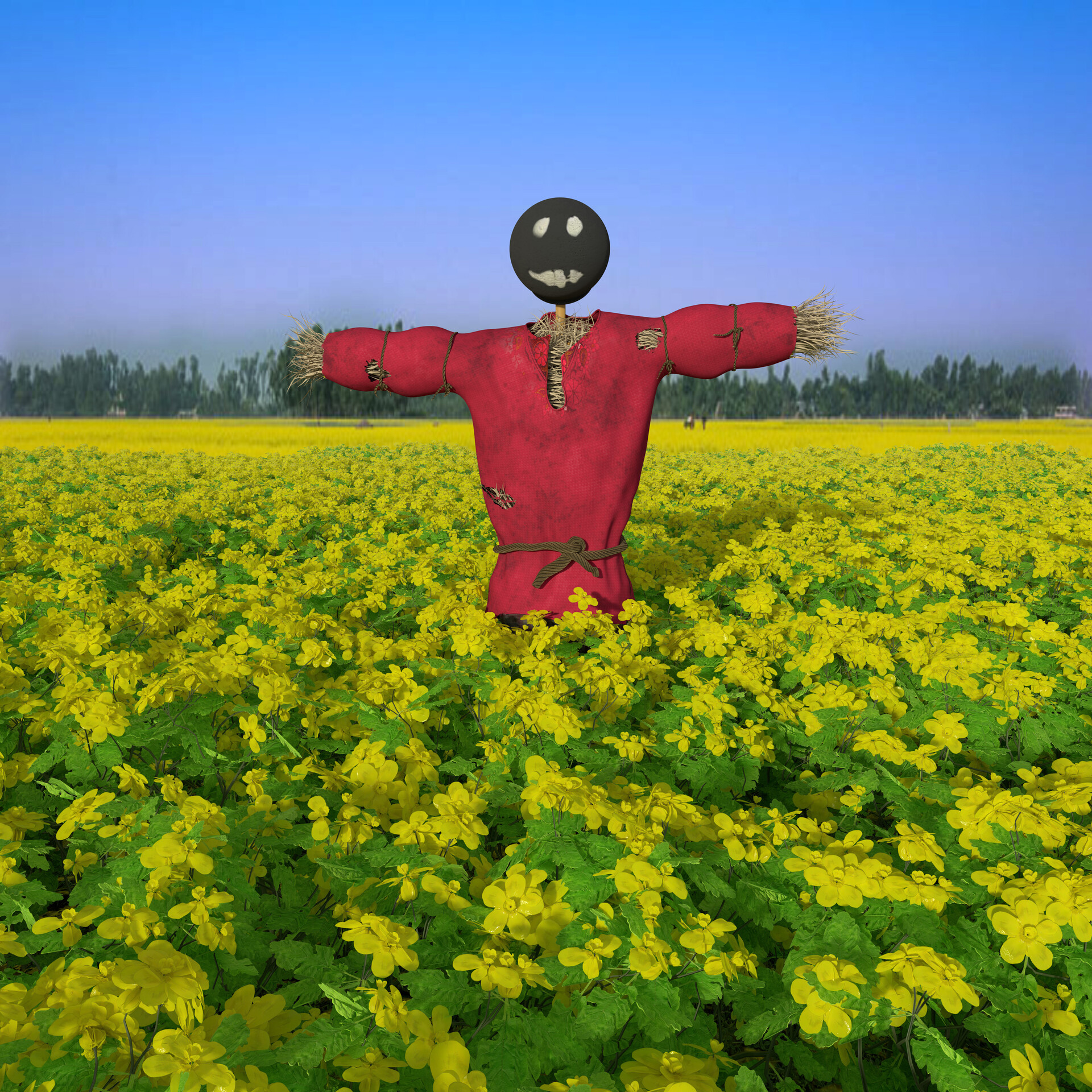 Tanvir Hasan - Kaktarua (scarecrow)