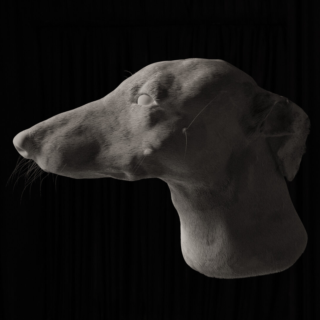 ArtStation - Greyhound WIP
