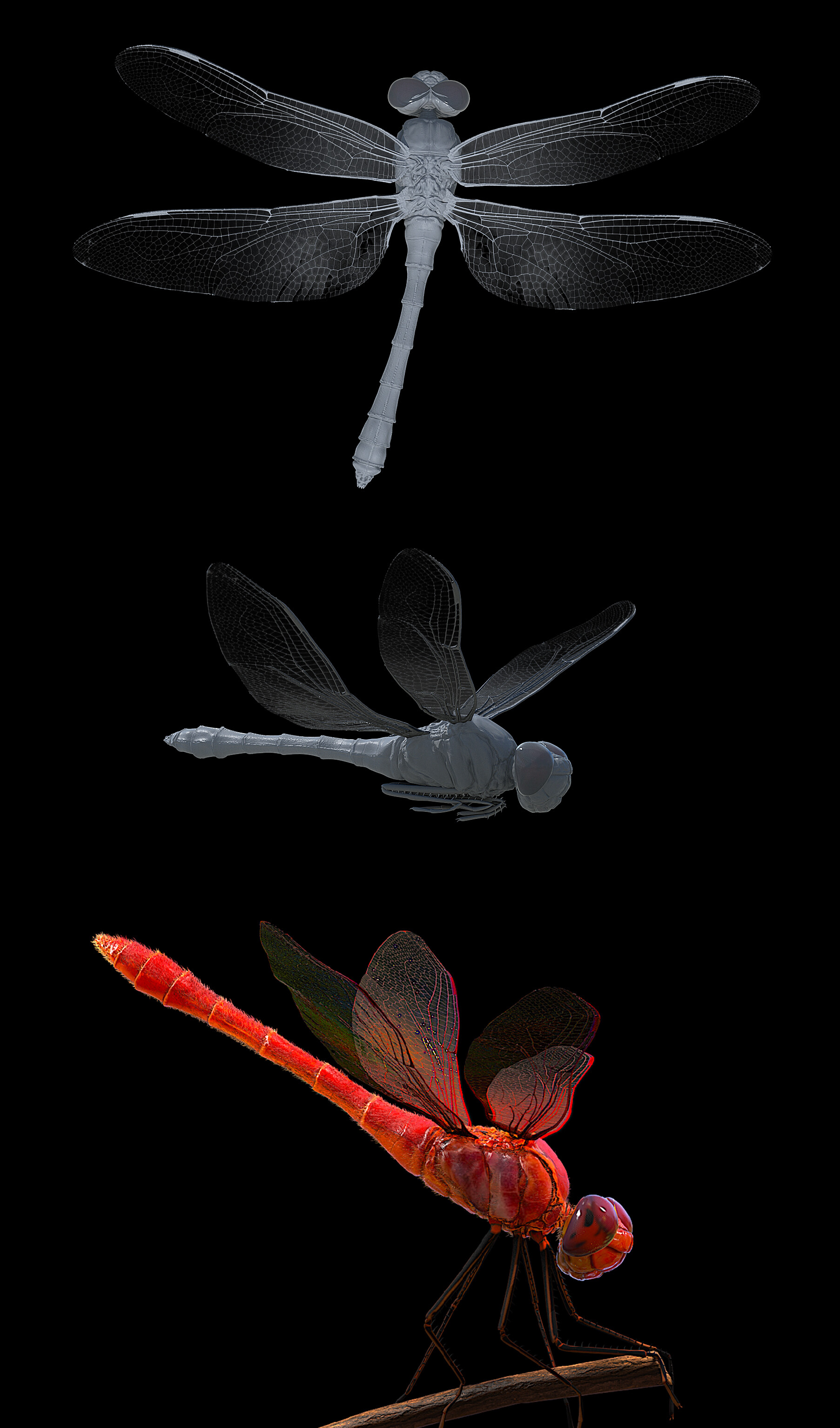 ArtStation - Dragonfly