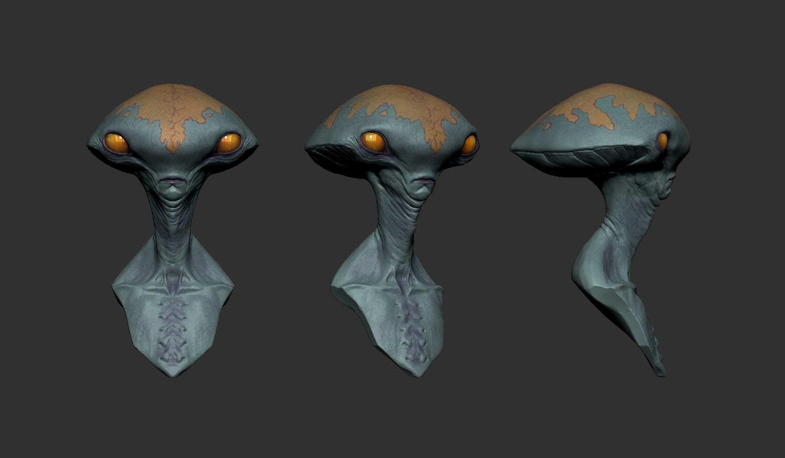 Pedro Wilson - PHAEDRON - Concept by Jordu Schell