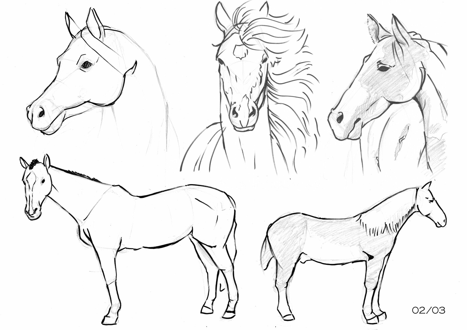 Isaac Lim - HORSES!!