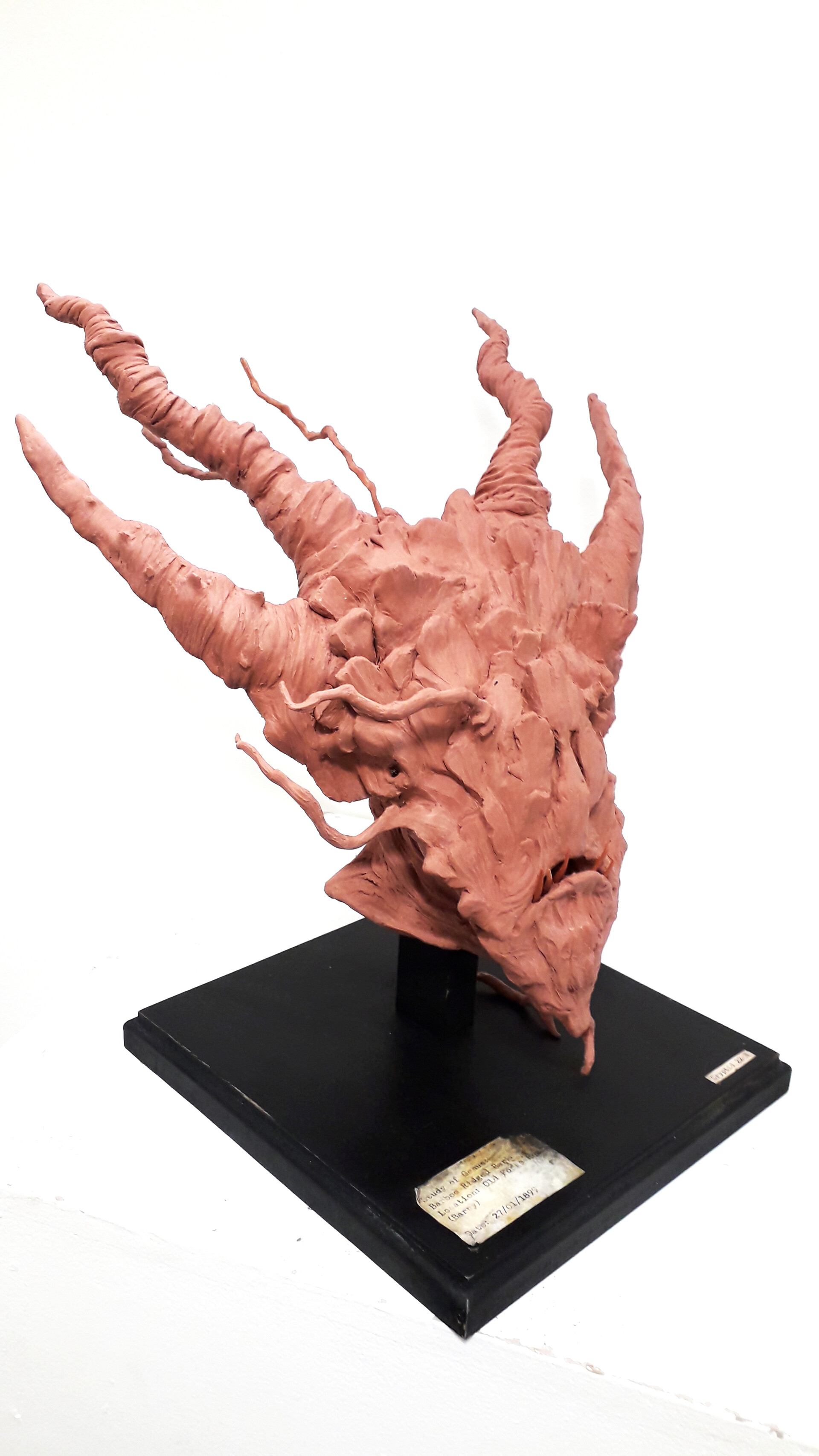 ArtStation - Fairy Head Study