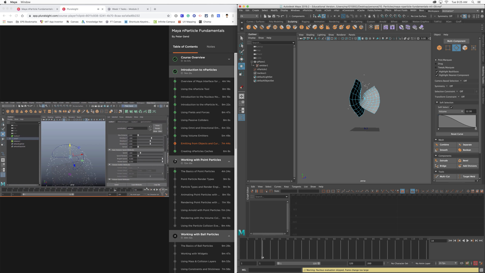 Matthew Posa - Introduction to nParticles