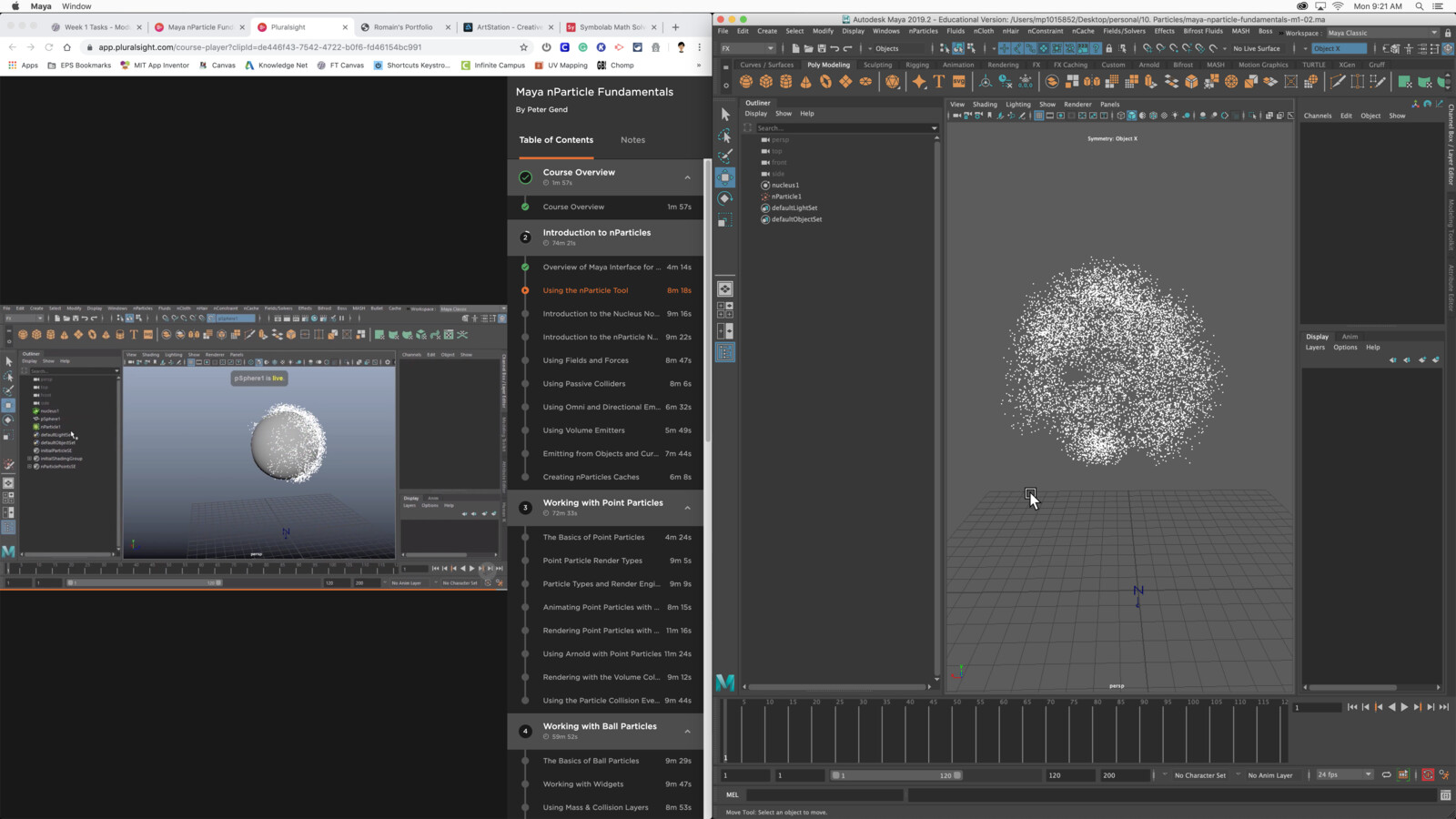 Matthew Posa - Introduction to nParticles
