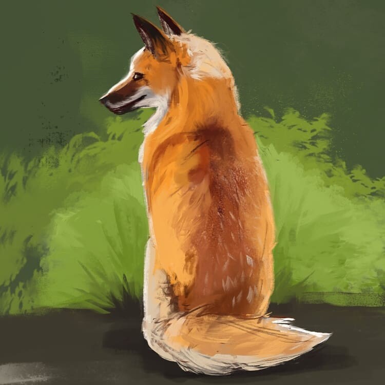 ArtStation - Foxes