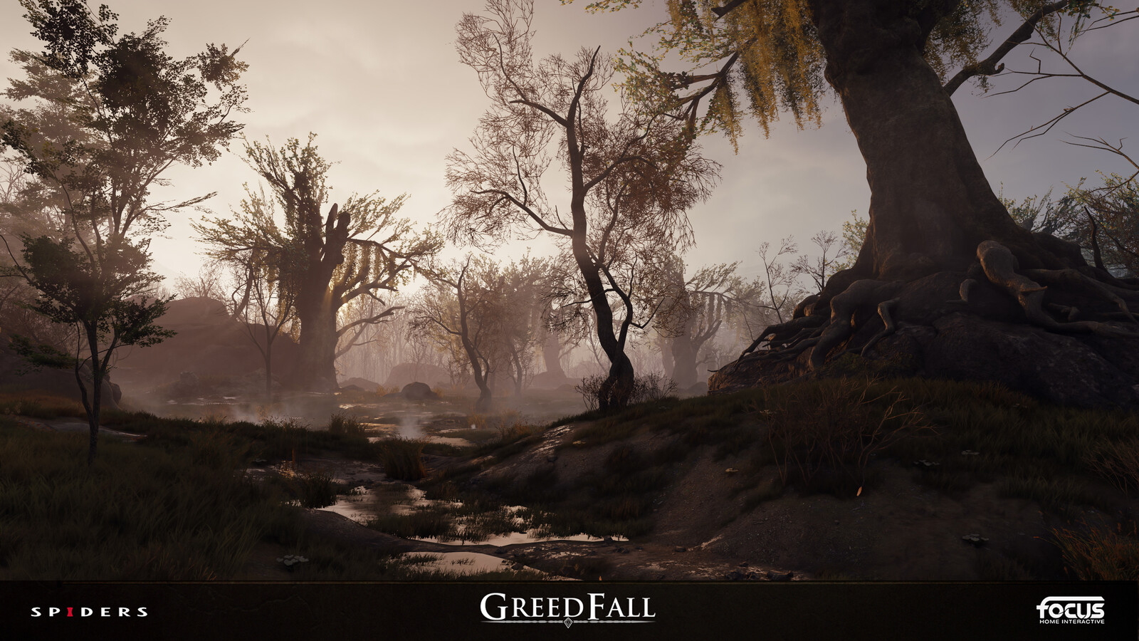 Nicolas Charlet - Greedfall - Swamp