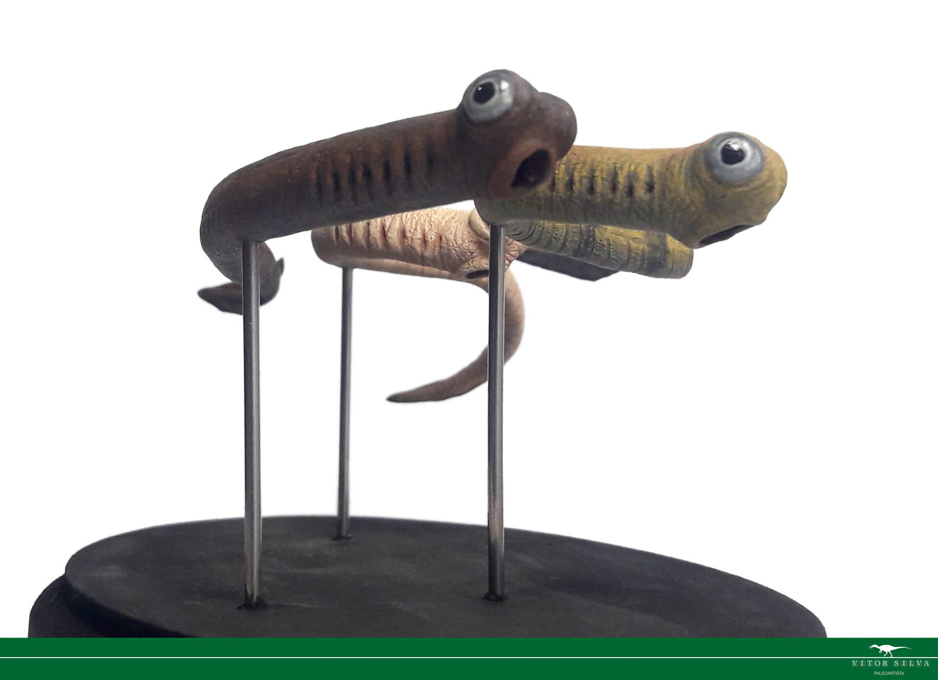 conodonts description