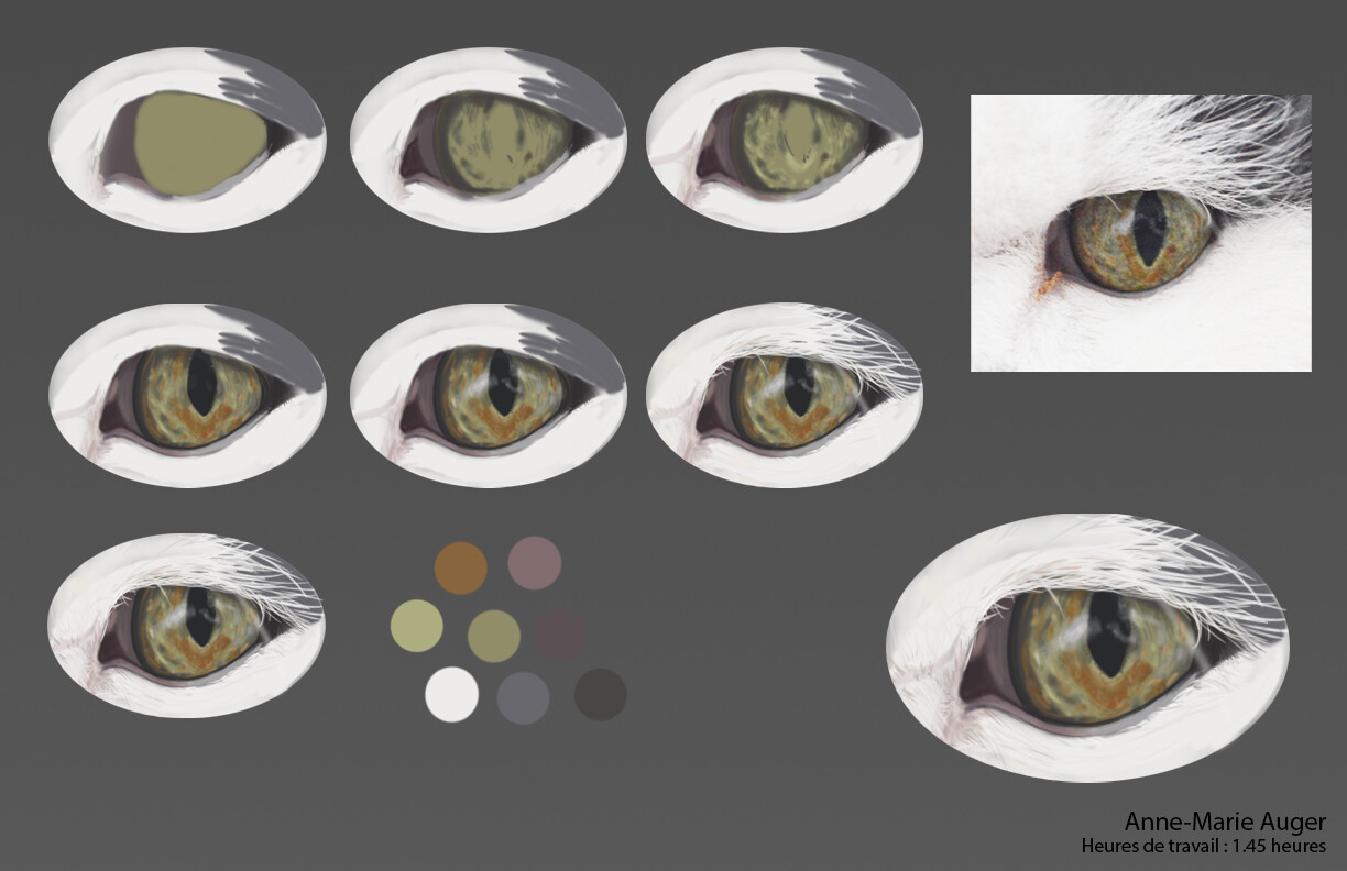 Marie Auger's Instagram, Twitter & Facebook on IDCrawl