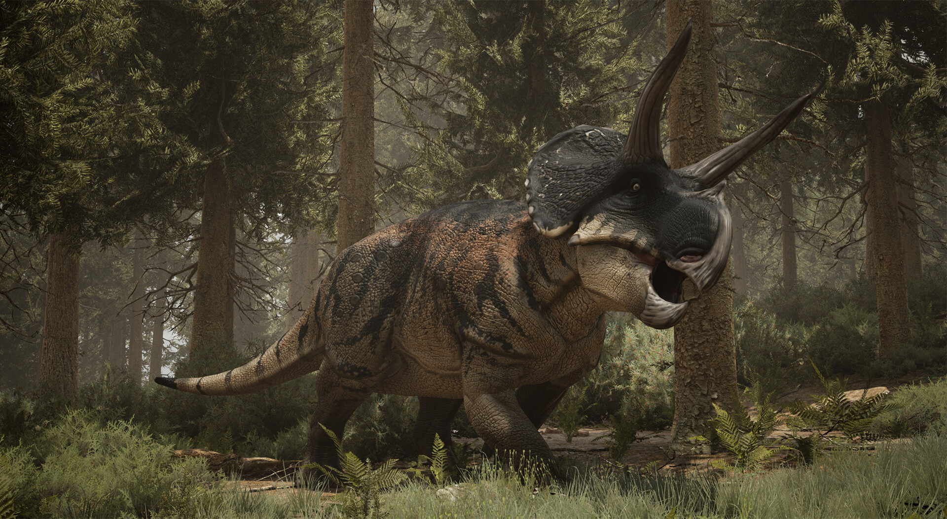 Eotriceratops Xerinsularis