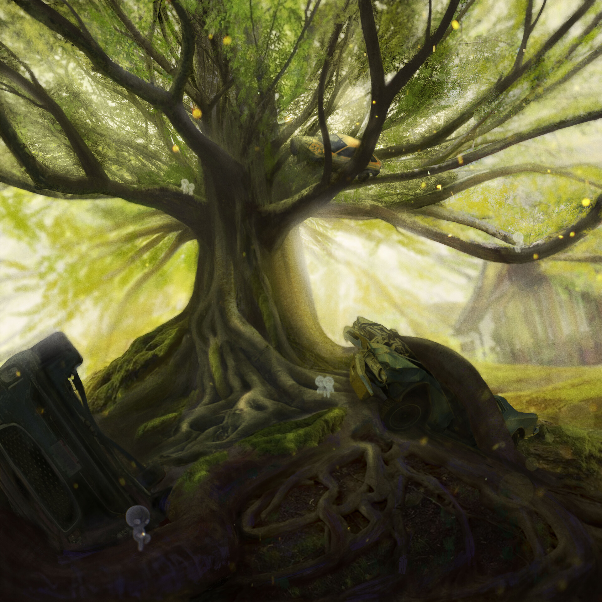 Maria Reiter - Banyan