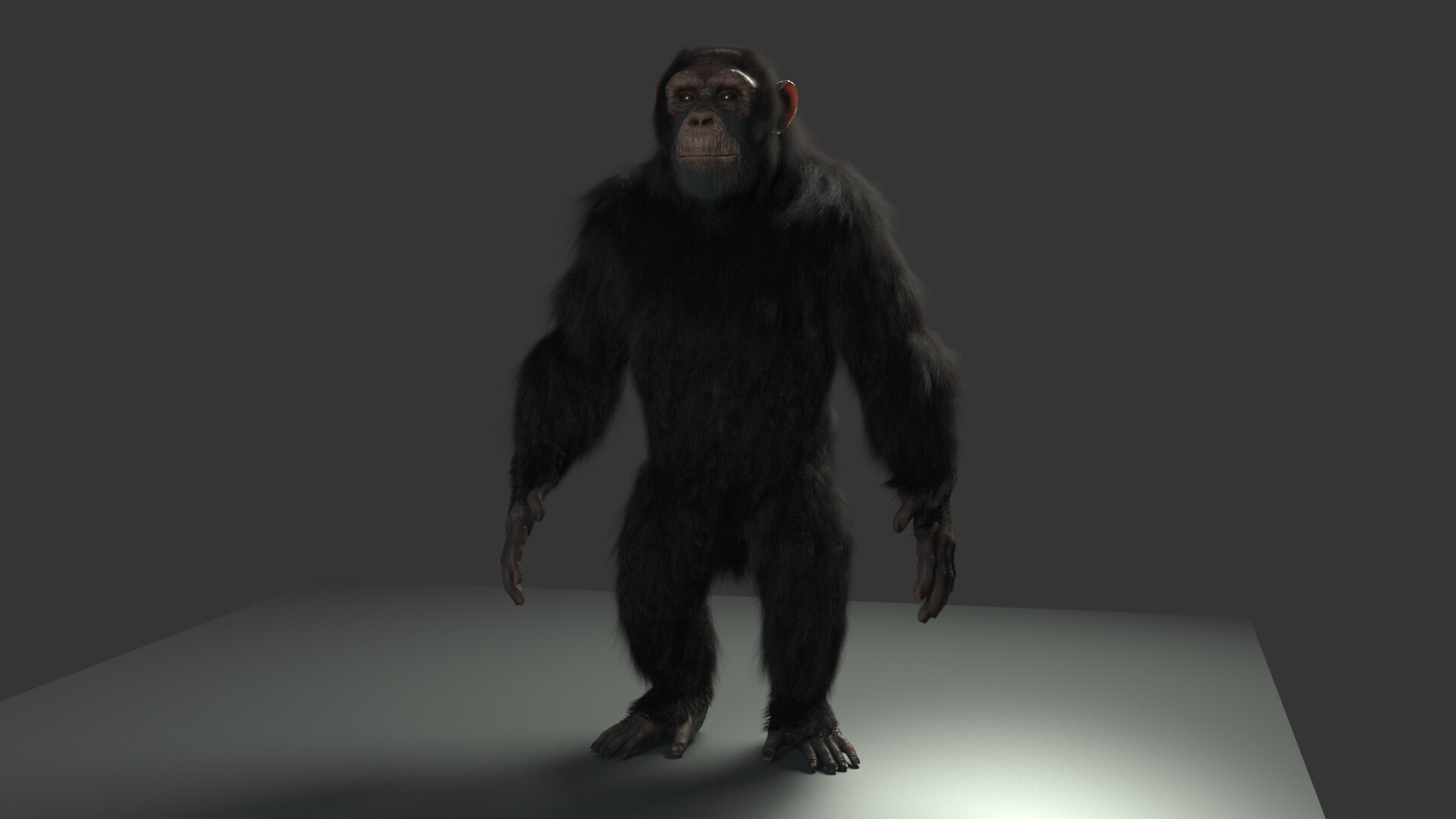 ArtStation - CGI Chimpanzee