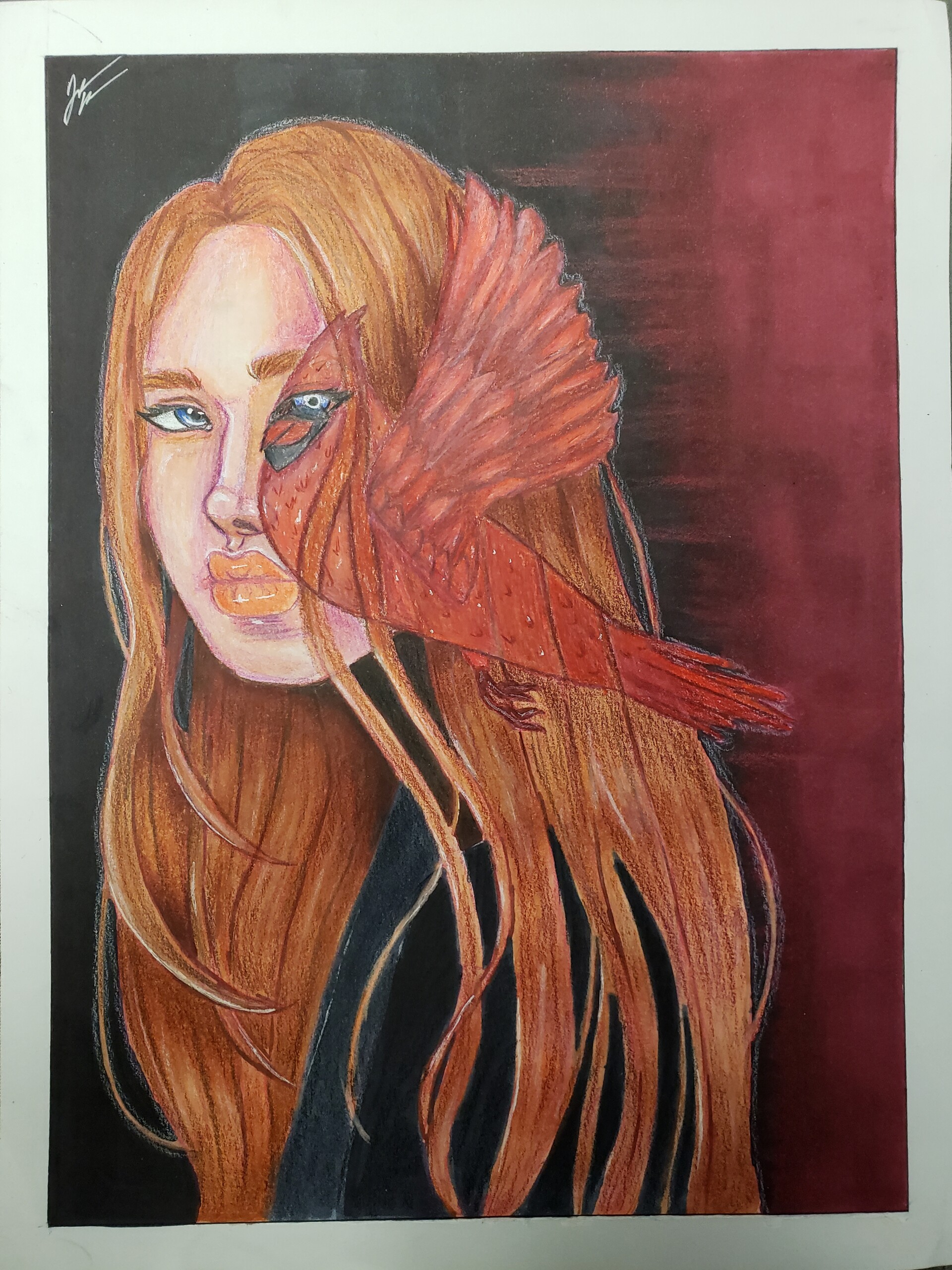 ArtStation - Cardinal